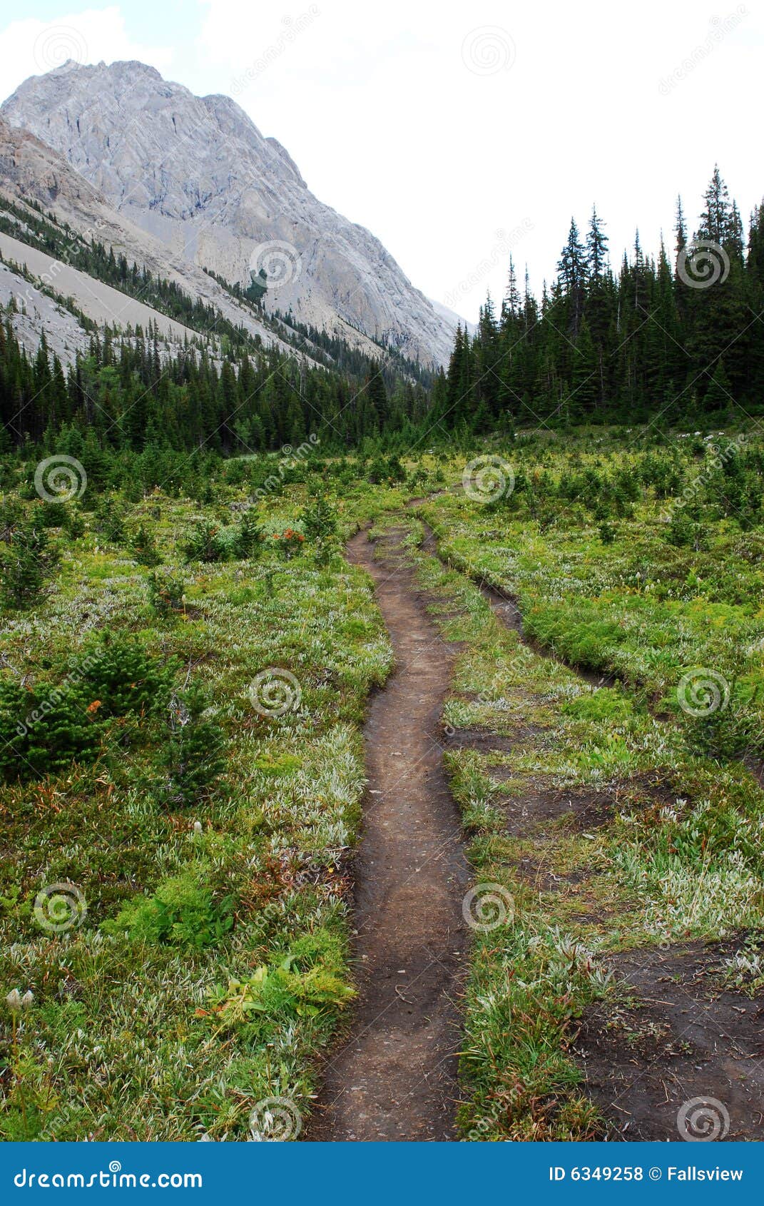 Winding Hiking Trail - Burstall Pass Stock Photo - Image of calm ...