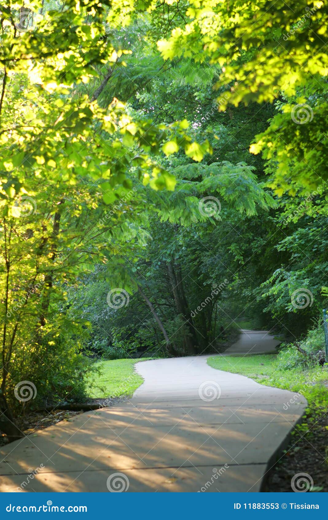 Winding Hiking Trail in Woods Stock Image - Image of vertical, concrete ...