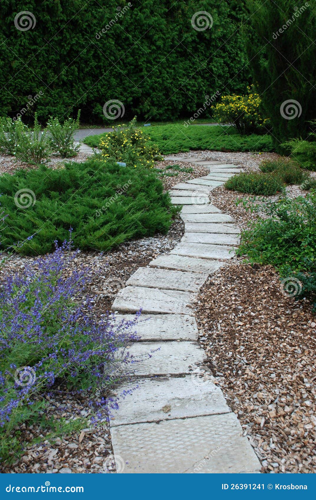 Winding landscaped path stock image. Image of green, plant - 26391241