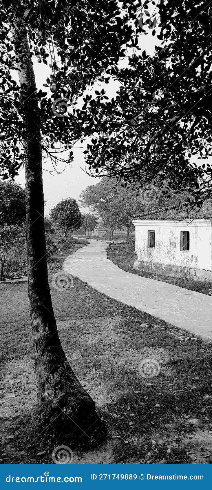 Lonely Path In Forest Royalty-Free Stock Photography | CartoonDealer ...