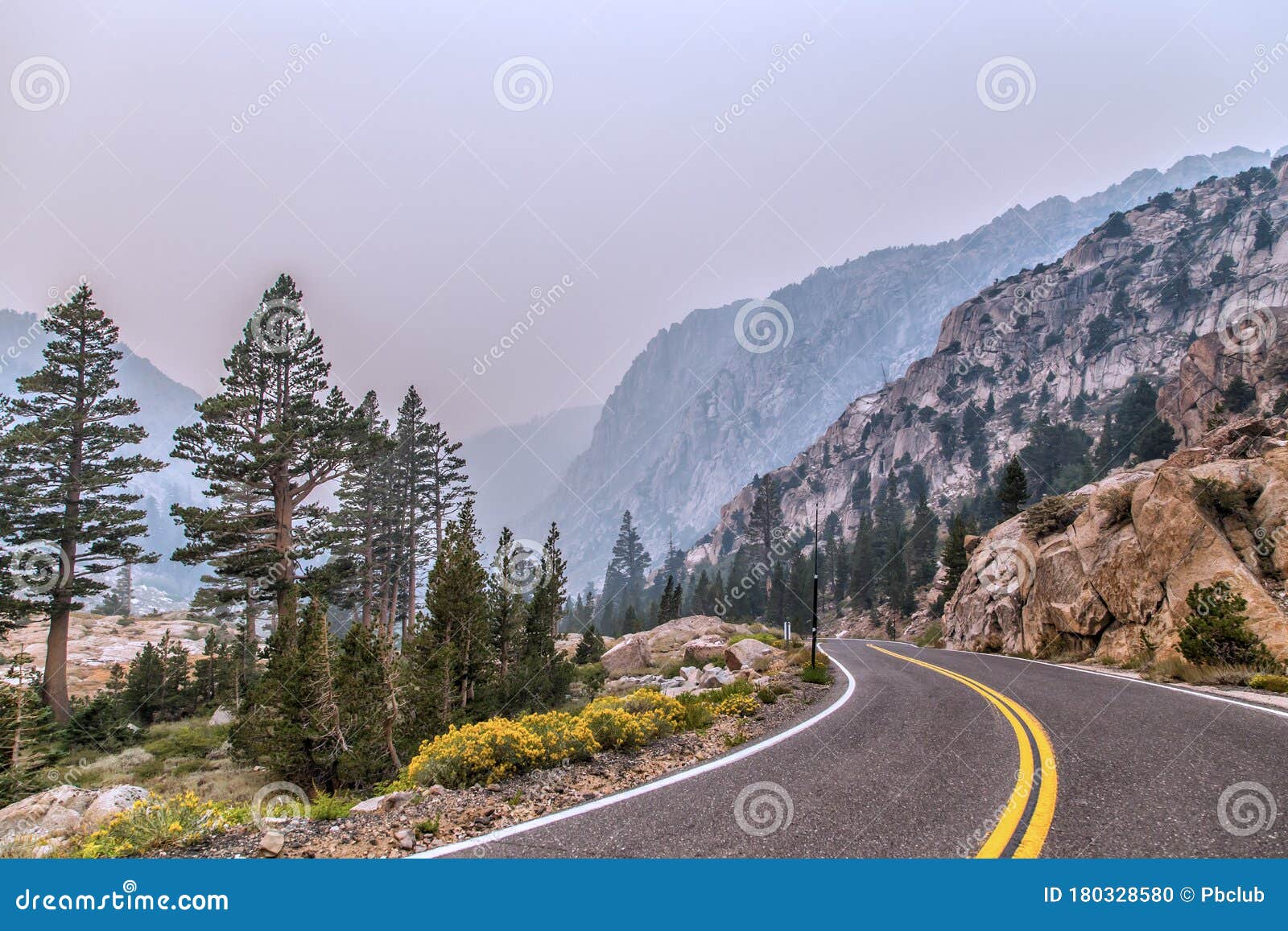 Winding Mountain Road stock photo. Image of trees, road - 180328580