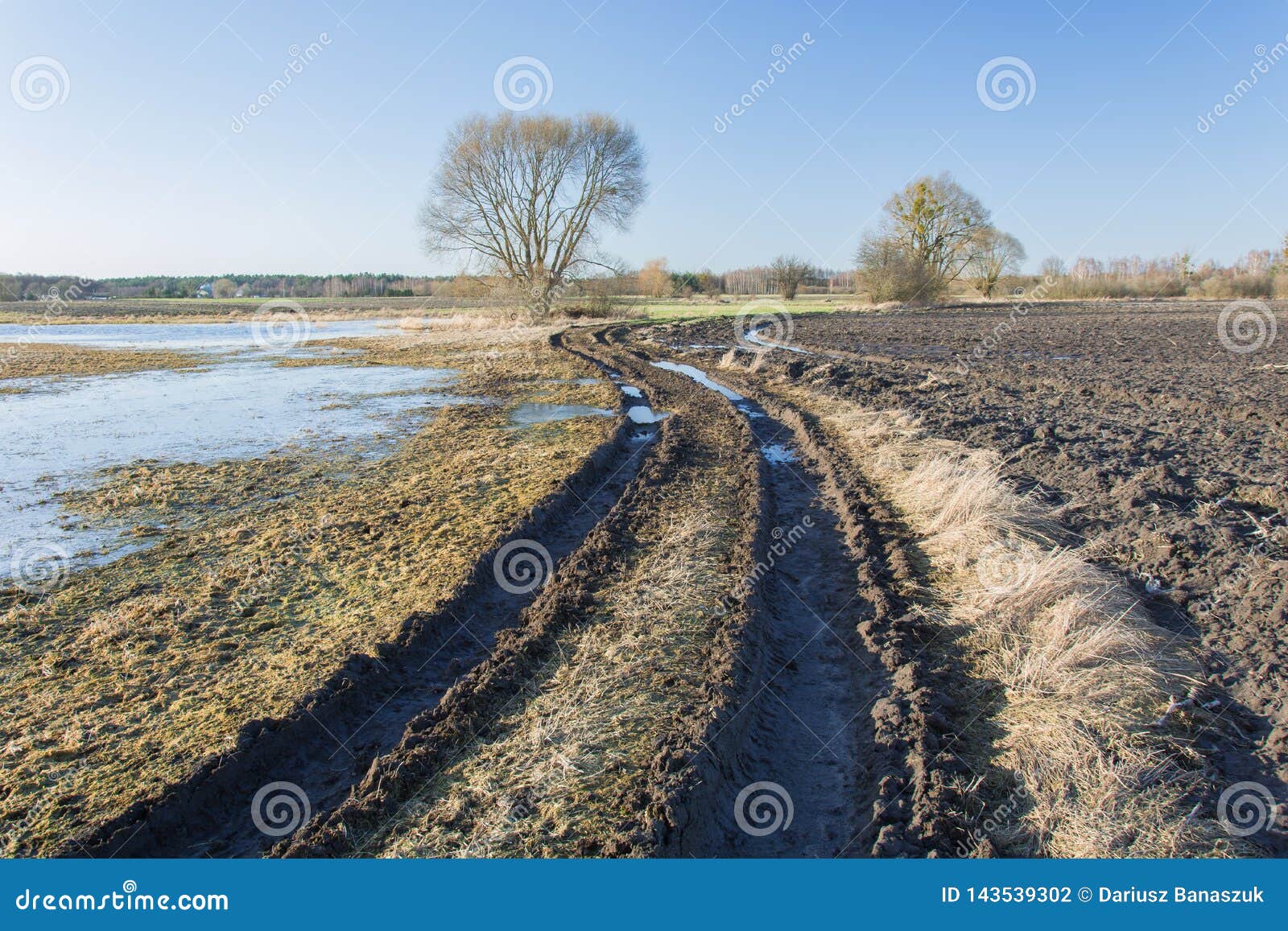 Winding Muddy Road through Fields, a Tree on the Horizon and Sky Stock ...