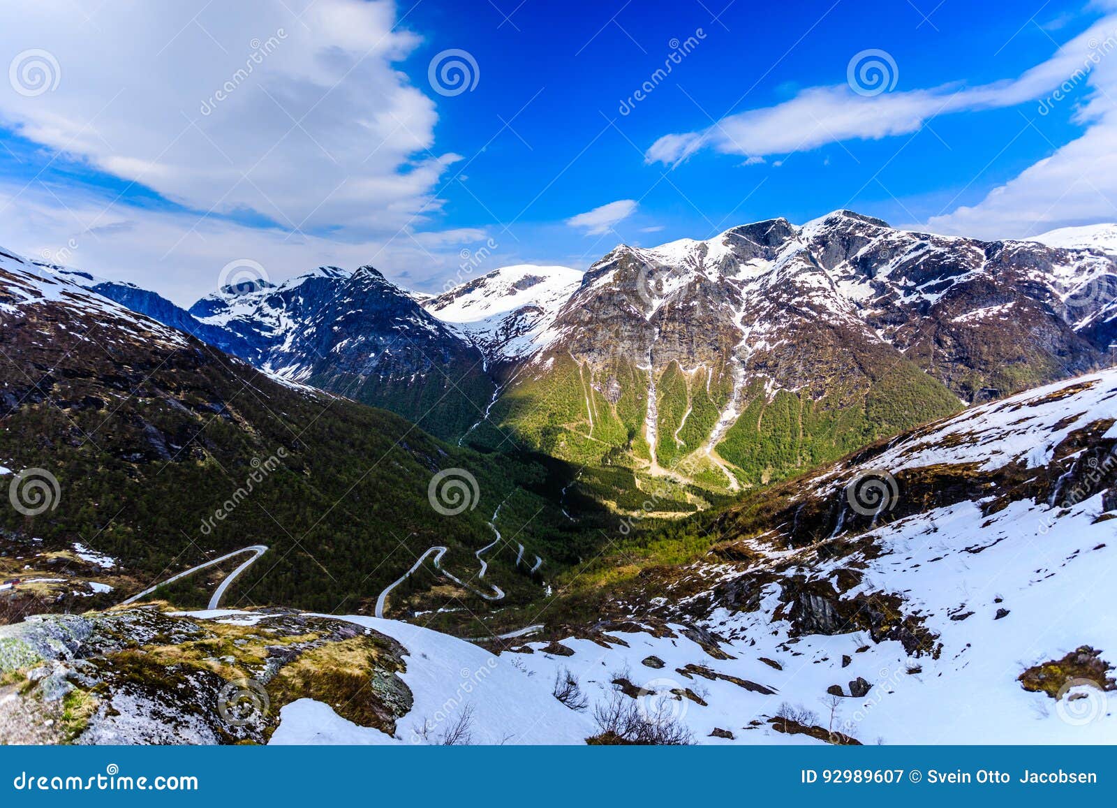 Narrow Access Path To A Wooden Garden Gate Stock Image | CartoonDealer ...