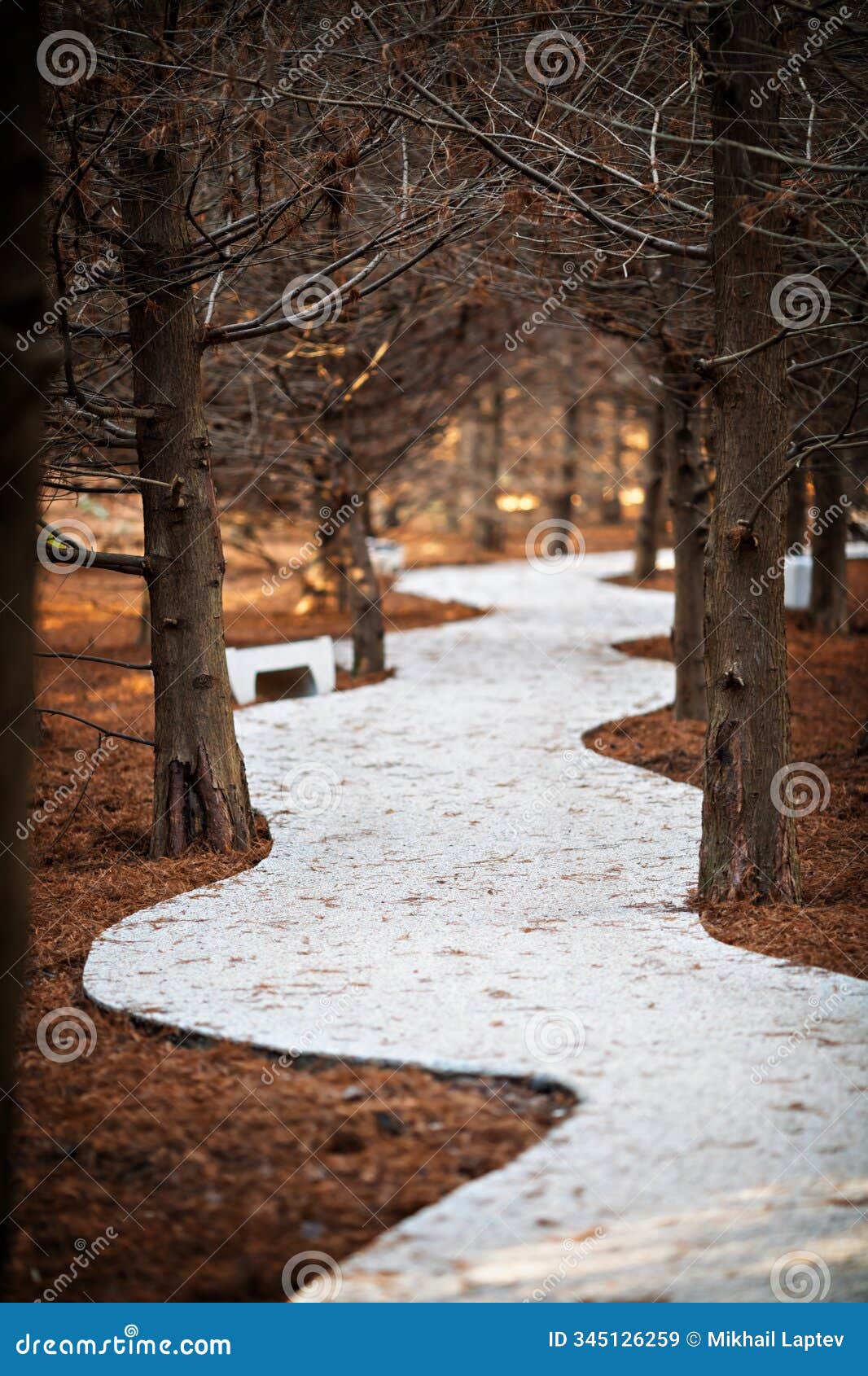 Winding Park Footpath with Bench Stock Image - Image of walk, ground ...