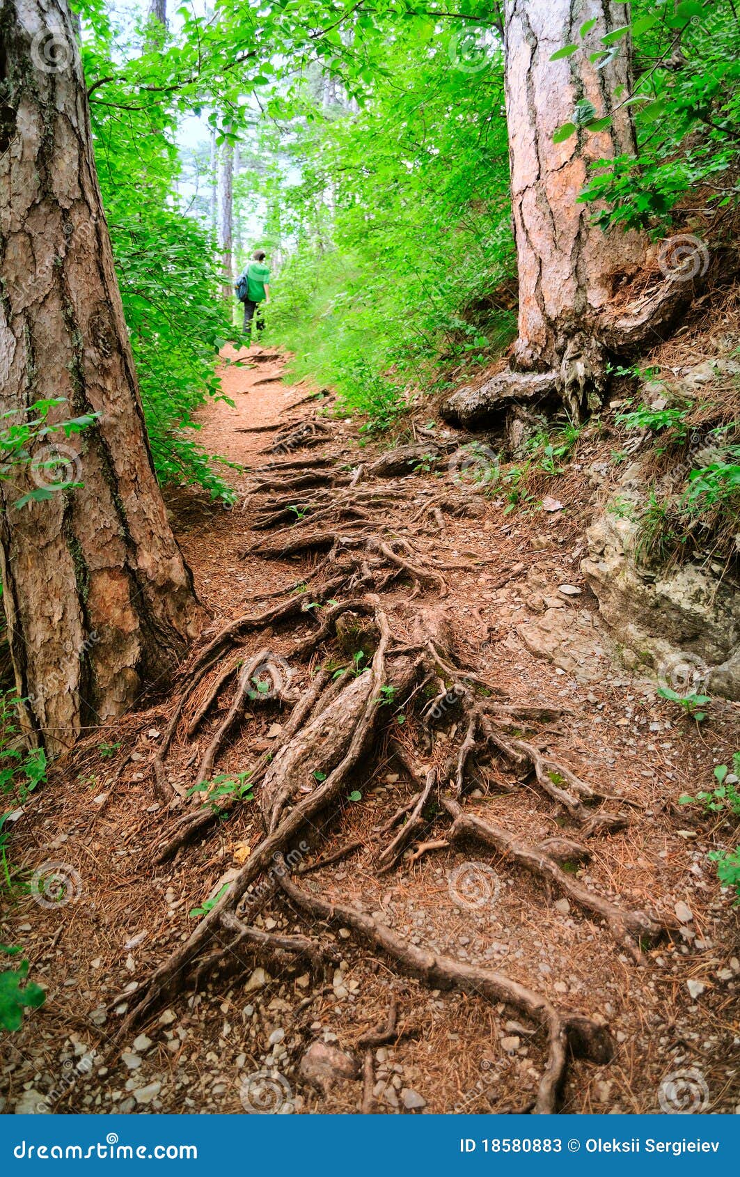 Winding path stock image. Image of cloud, horizon, green - 18580883