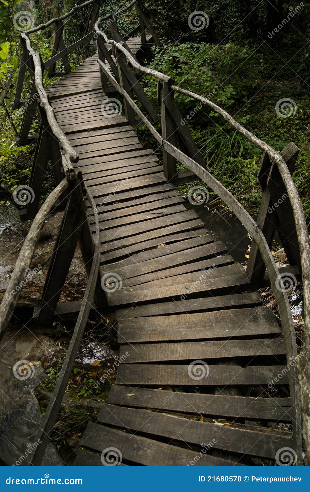 The winding path stock photo. Image of green, countryside - 21680570