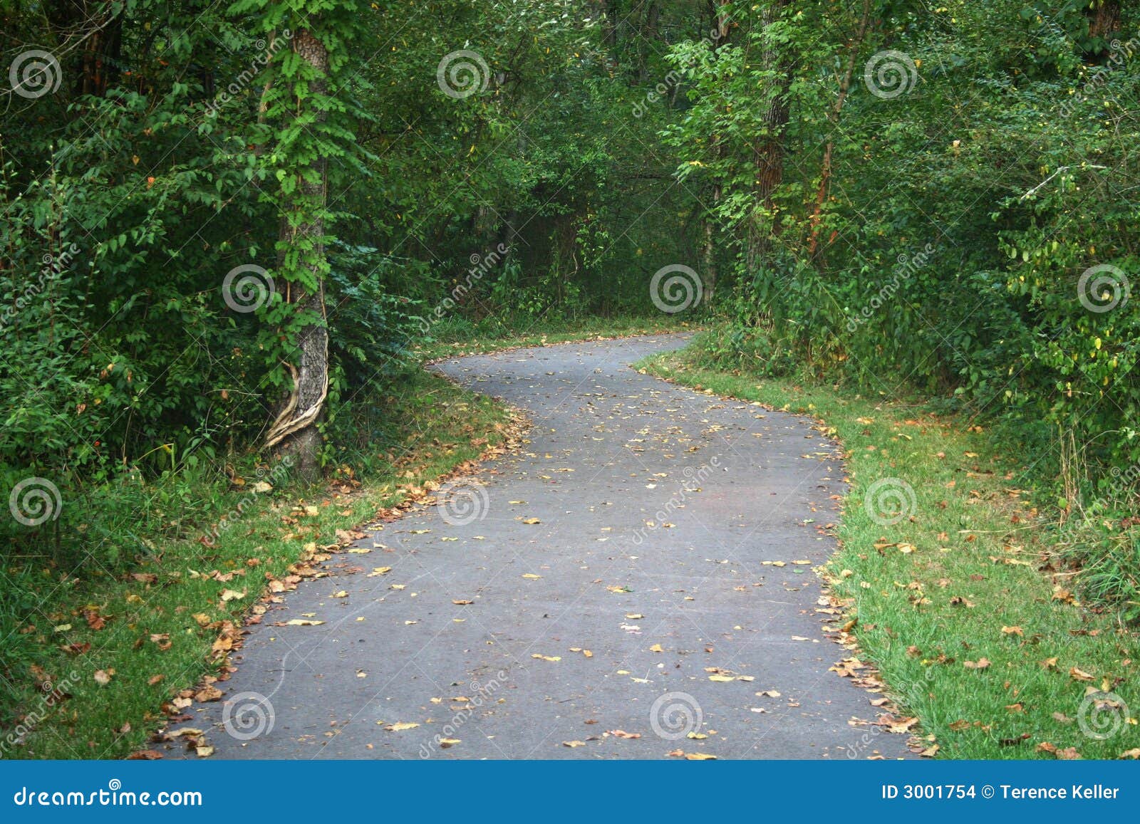 Winding Path stock photo. Image of asphalt, relax, path - 3001754