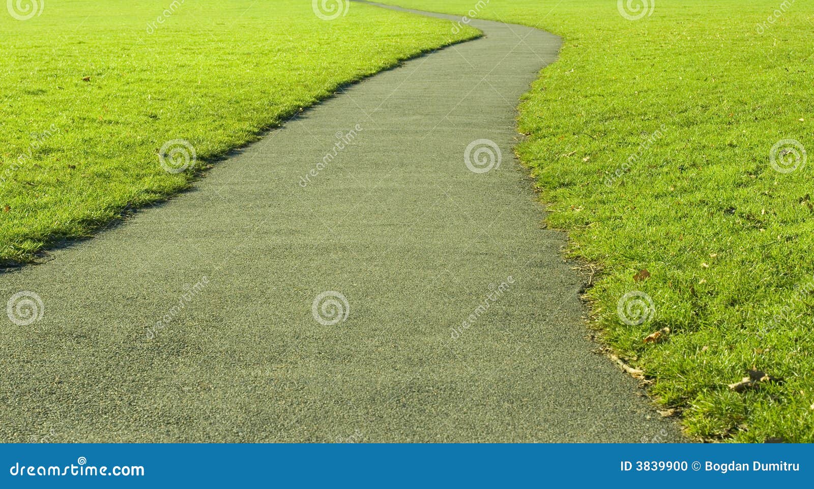 Winding Path stock photo. Image of path, asphalt, park - 3839900