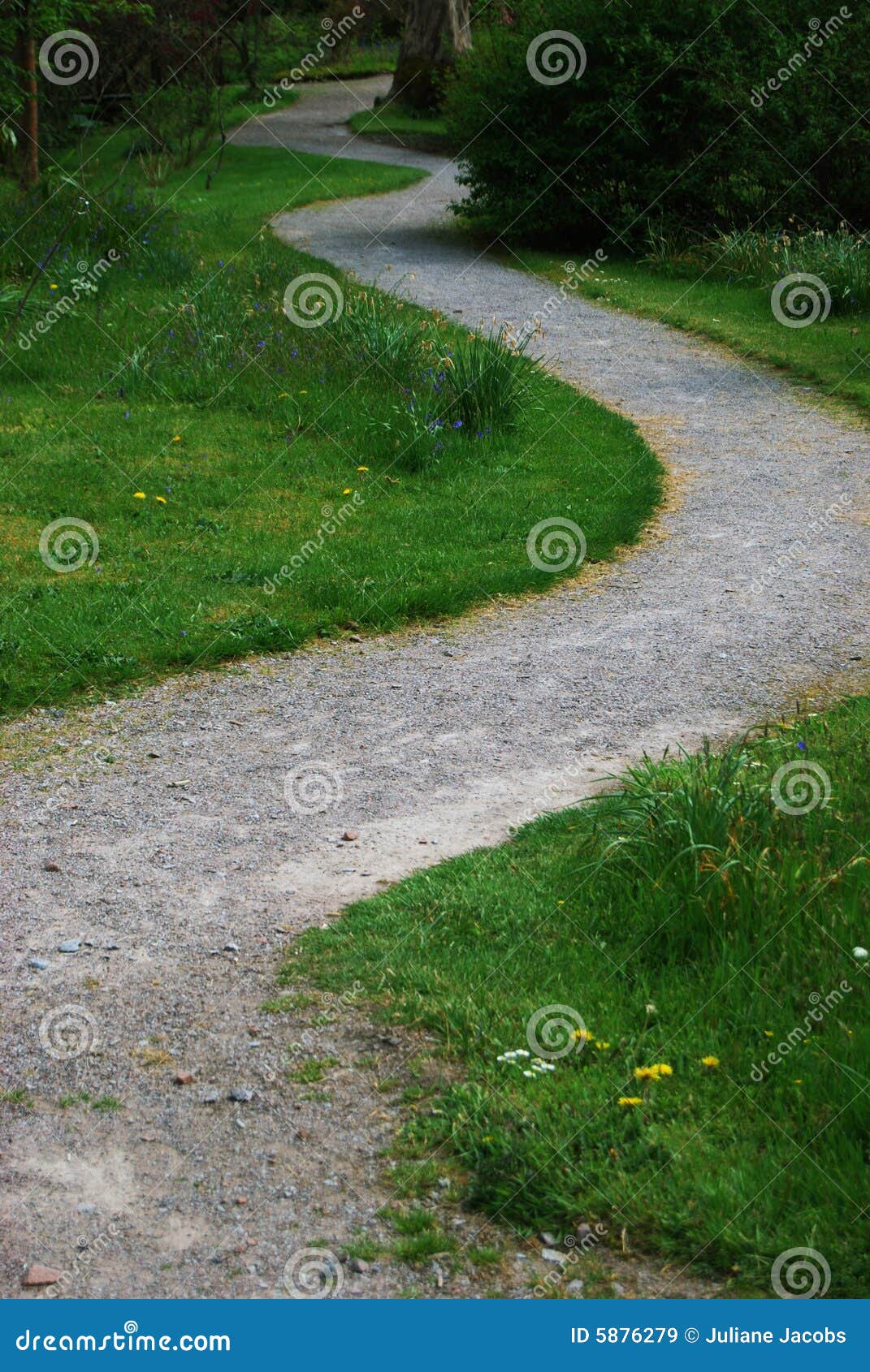Winding path stock image. Image of sand, landscaped, garden - 5876279