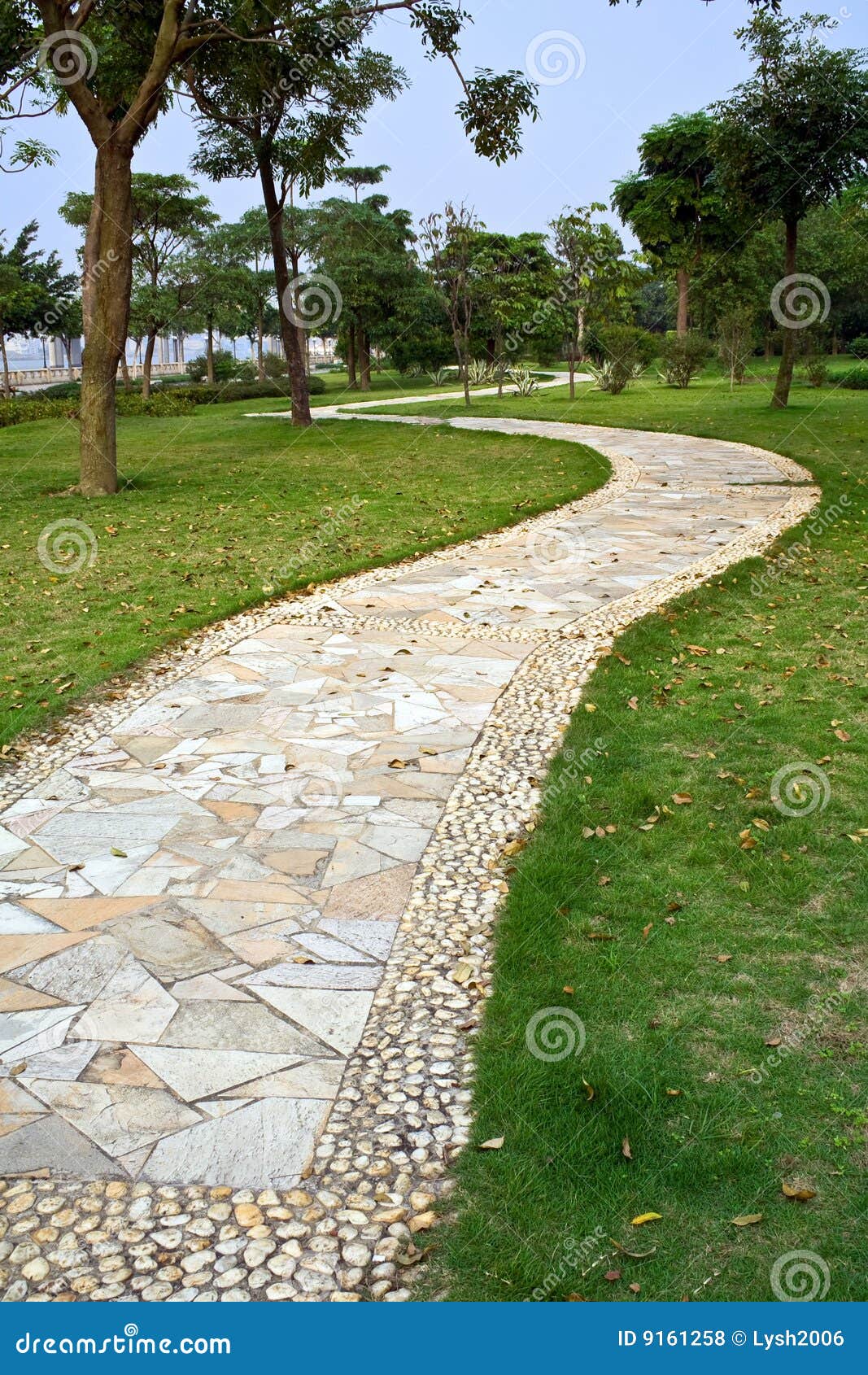 Winding path stock photo. Image of defoliation, woods - 9161258
