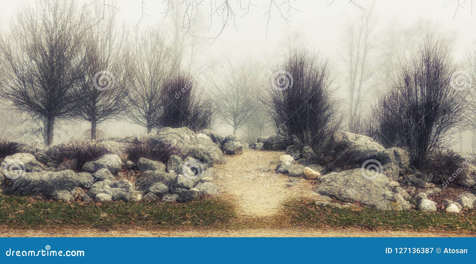 Winding path in the fog stock image. Image of beauty - 127136387