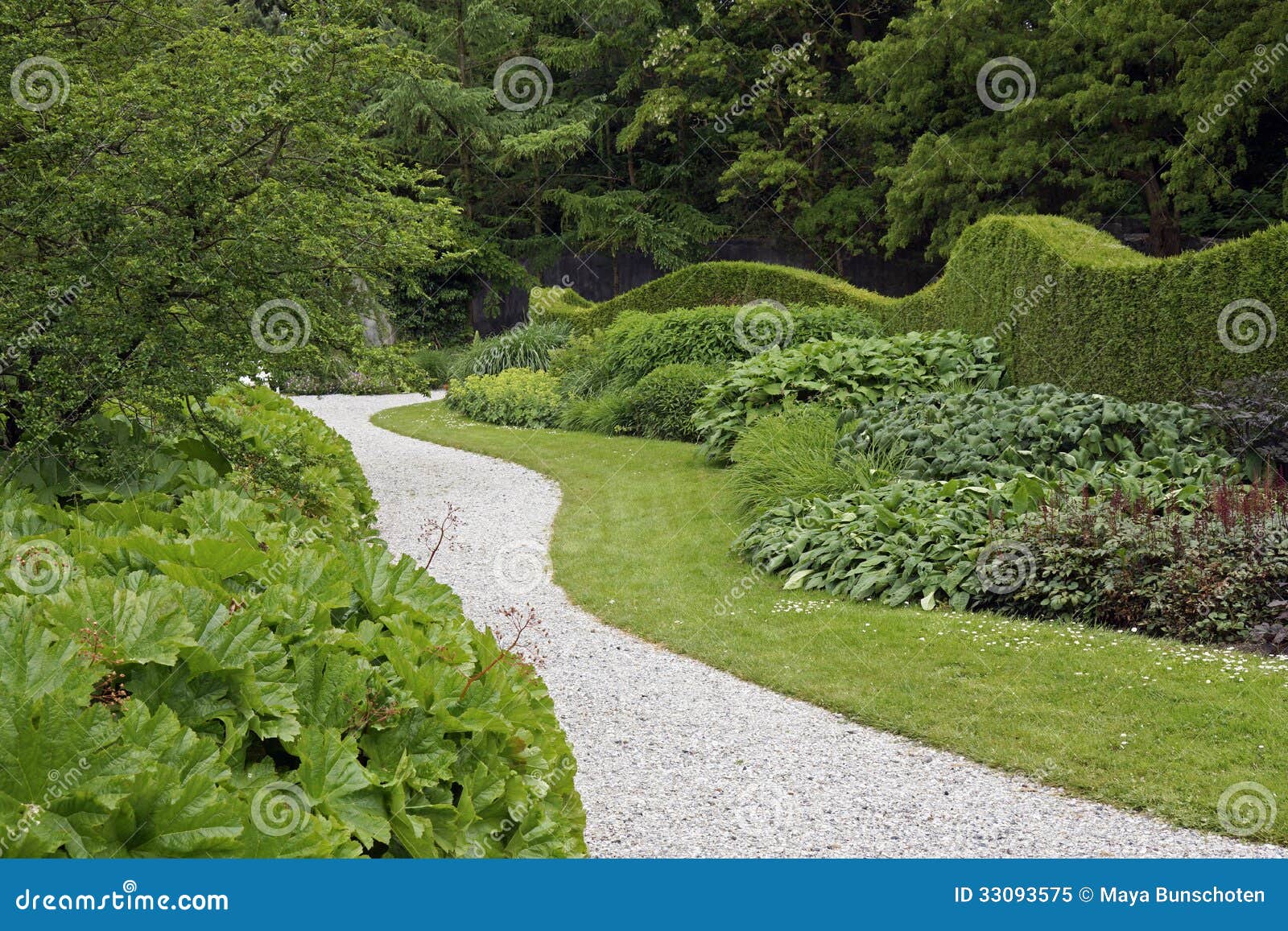 Winding path in a garden stock image. Image of landscaped - 33093575