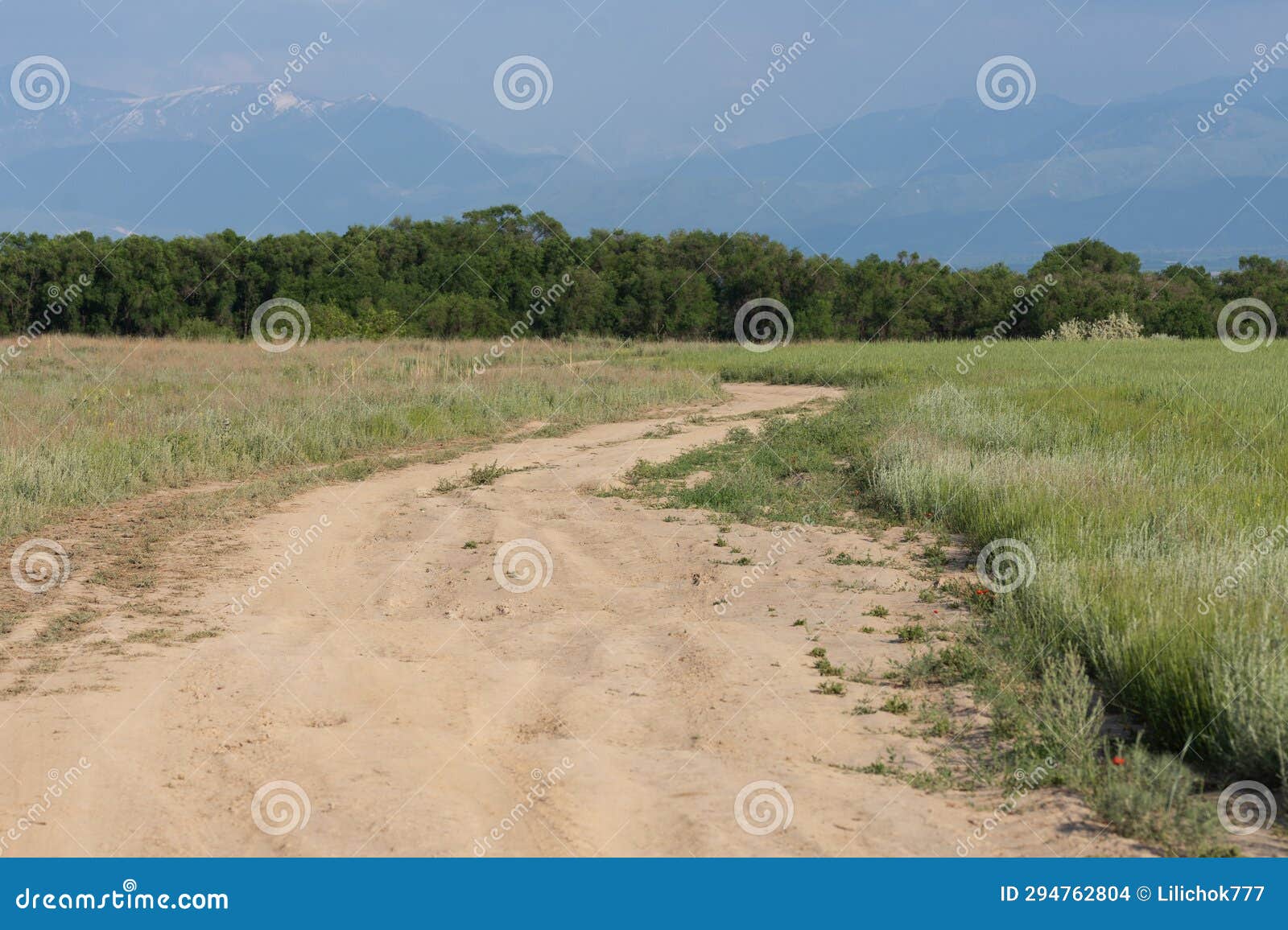 Winding Path Going into the Distance, Nature Outside the City, Trees ...