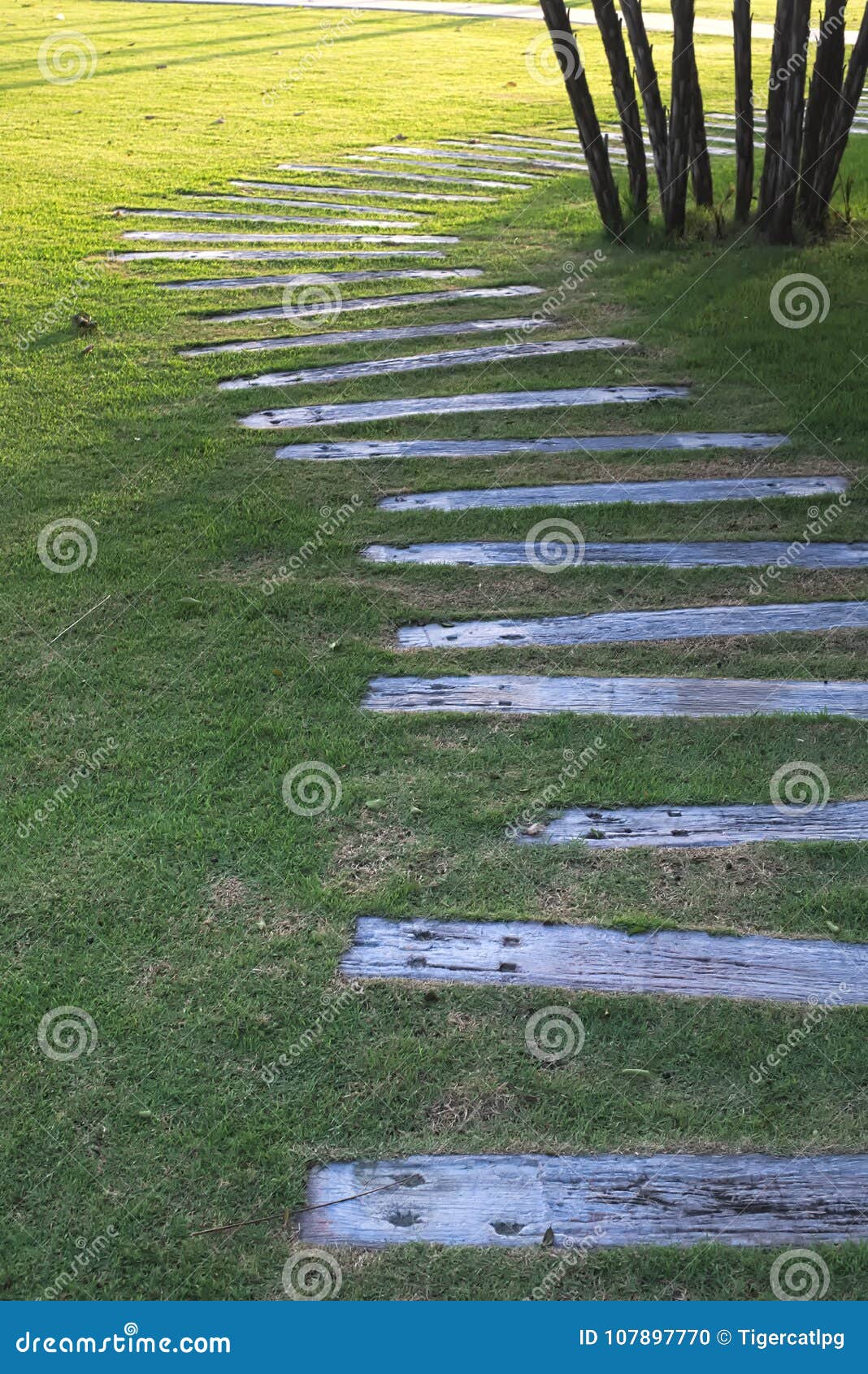 Winding Path in the Green Lawn Stock Photo - Image of natural, track ...