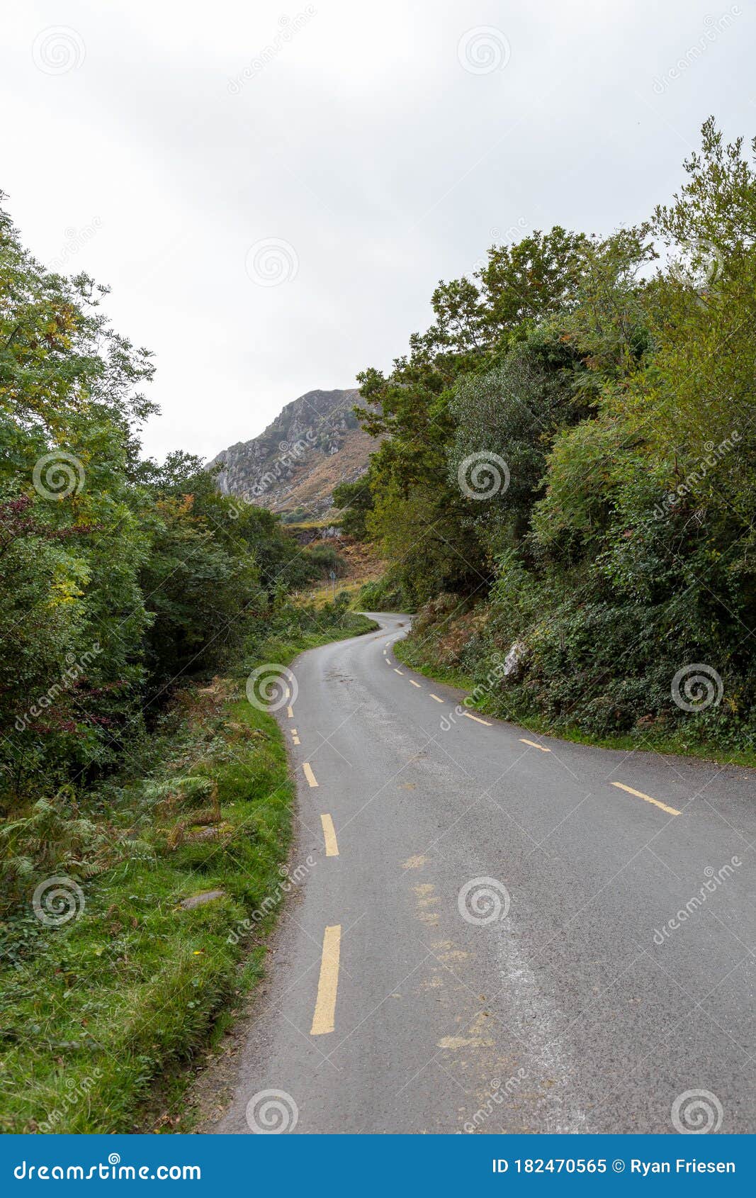 A Winding Path in the Irish Countryside Stock Image - Image of bush ...