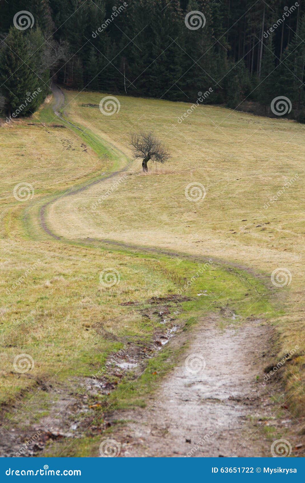 Squiggly Path Stock Photos - Free & Royalty-Free Stock Photos from ... Squiggly Path Stock Photos - Free & Royalty-Free Stock Photos from ...