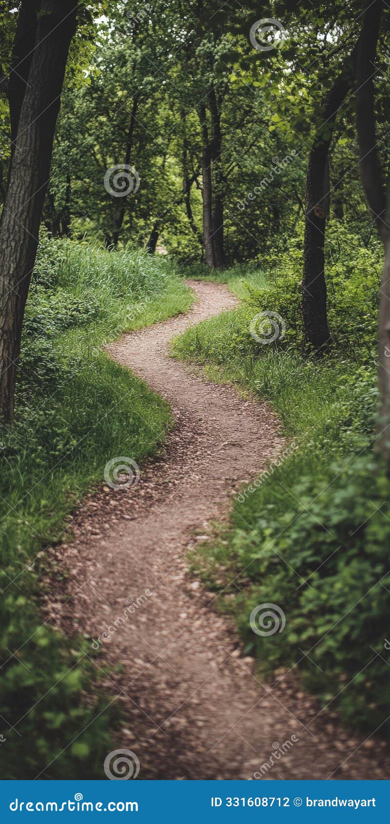 Winding Path through a Lush Green Forest Leading into the Distance ...