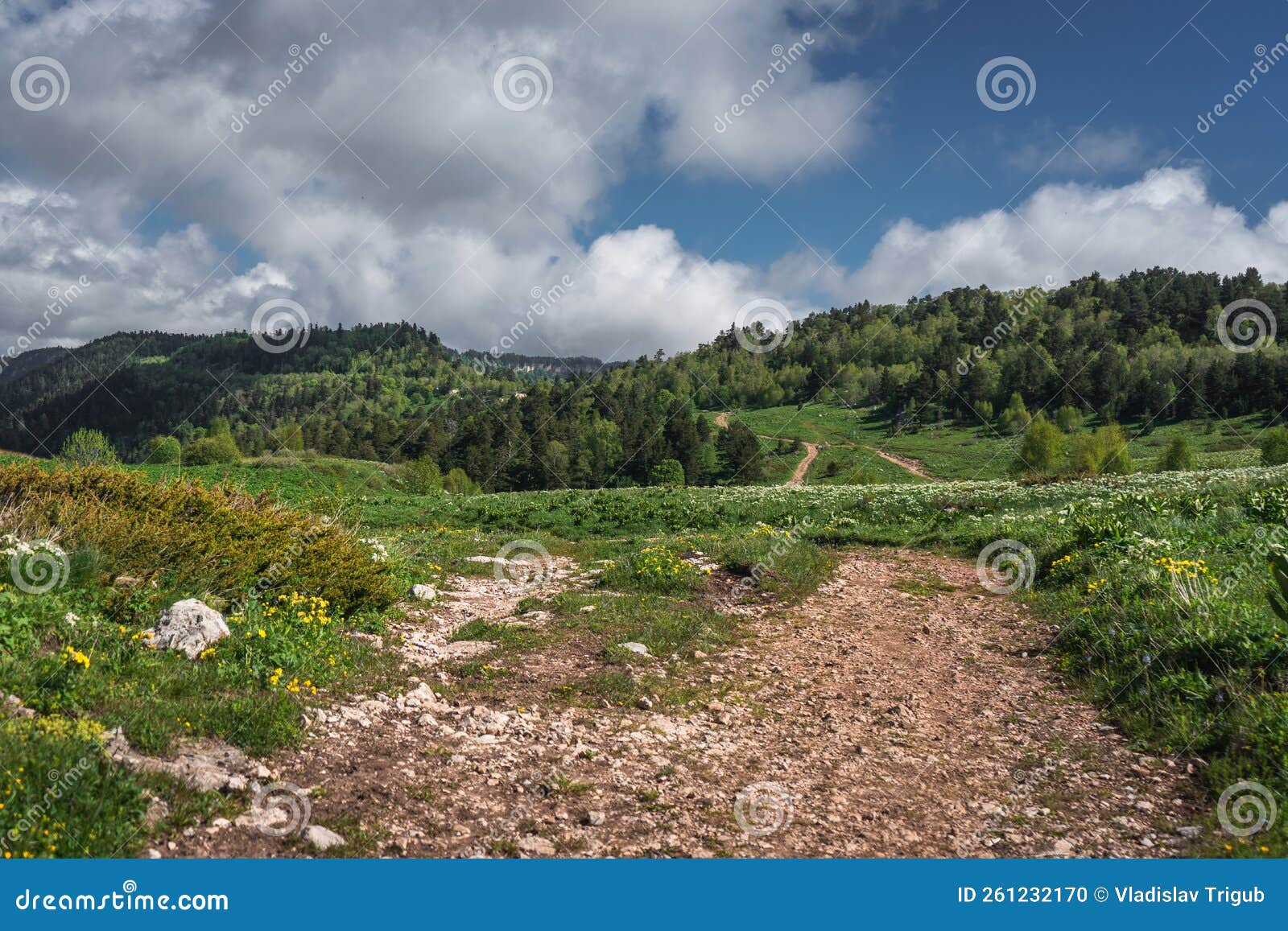 A Winding Path on a Mountain Slope. Stock Photo - Image of green, rock ...