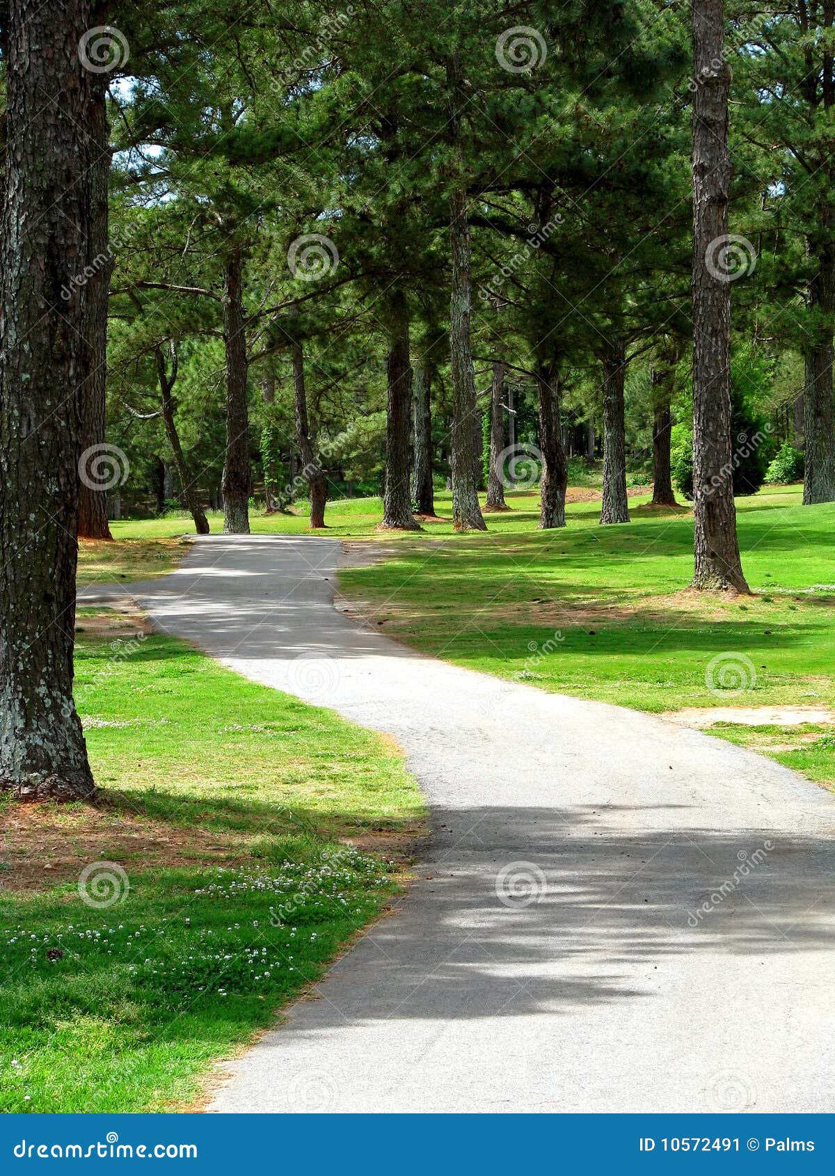 Winding path through park stock image. Image of park - 10572491