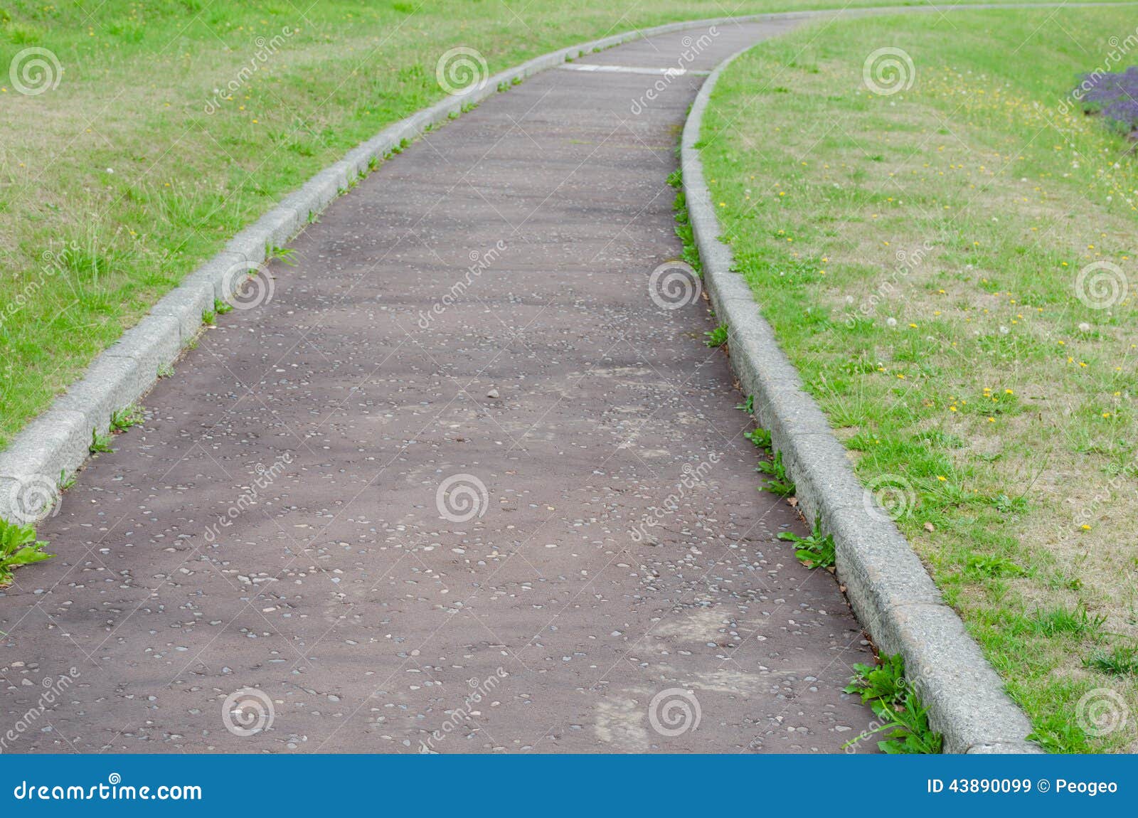 Winding path stock image. Image of journey, path, concept - 43890099