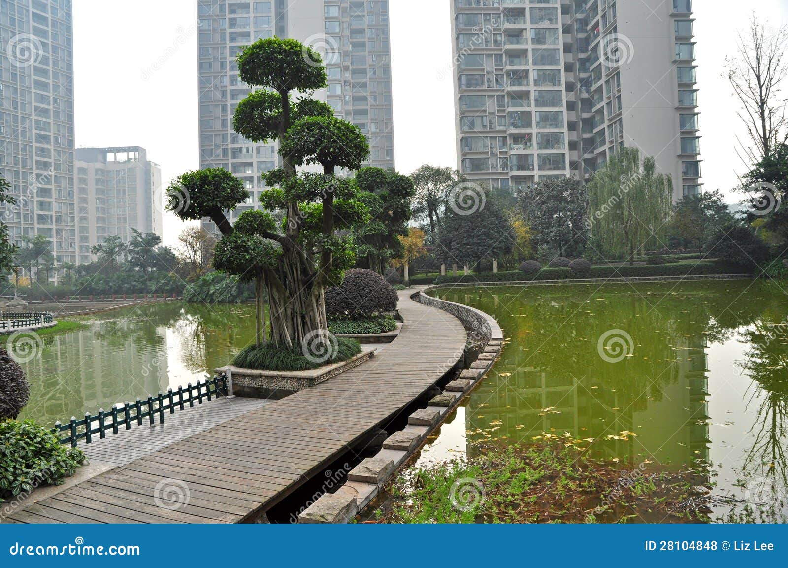 Winding Path through Pond stock photo. Image of lane - 28104848