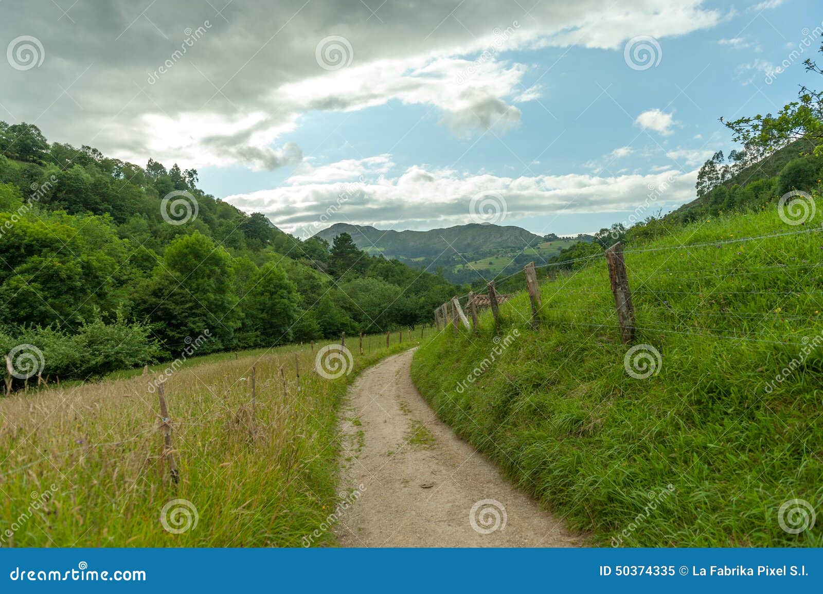 Winding path stock image. Image of summer, fence, fresh - 50374335