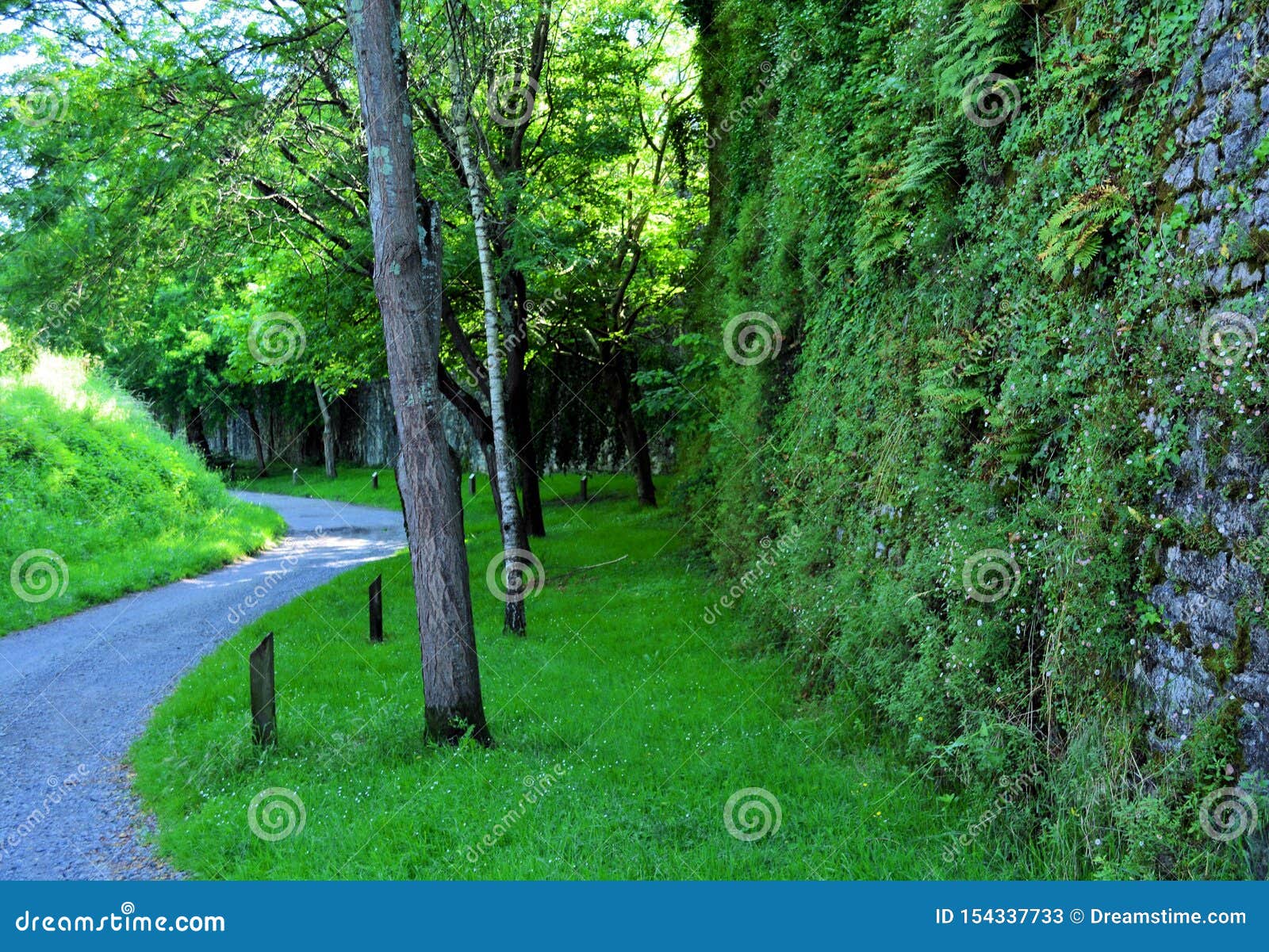 Winding Path through Trees Alongside a Rock Wall Stock Image - Image of ...