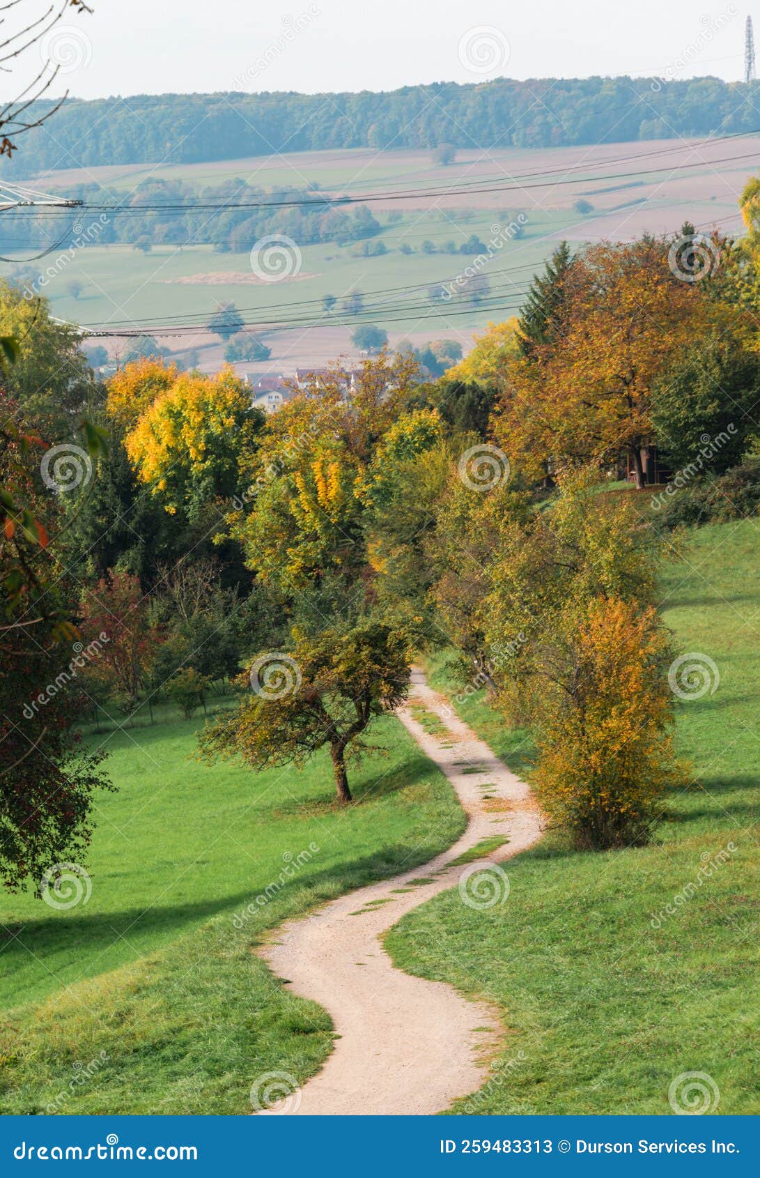Winding Path with Trees in Fall Colors in Germany, Stock Image - Image ...