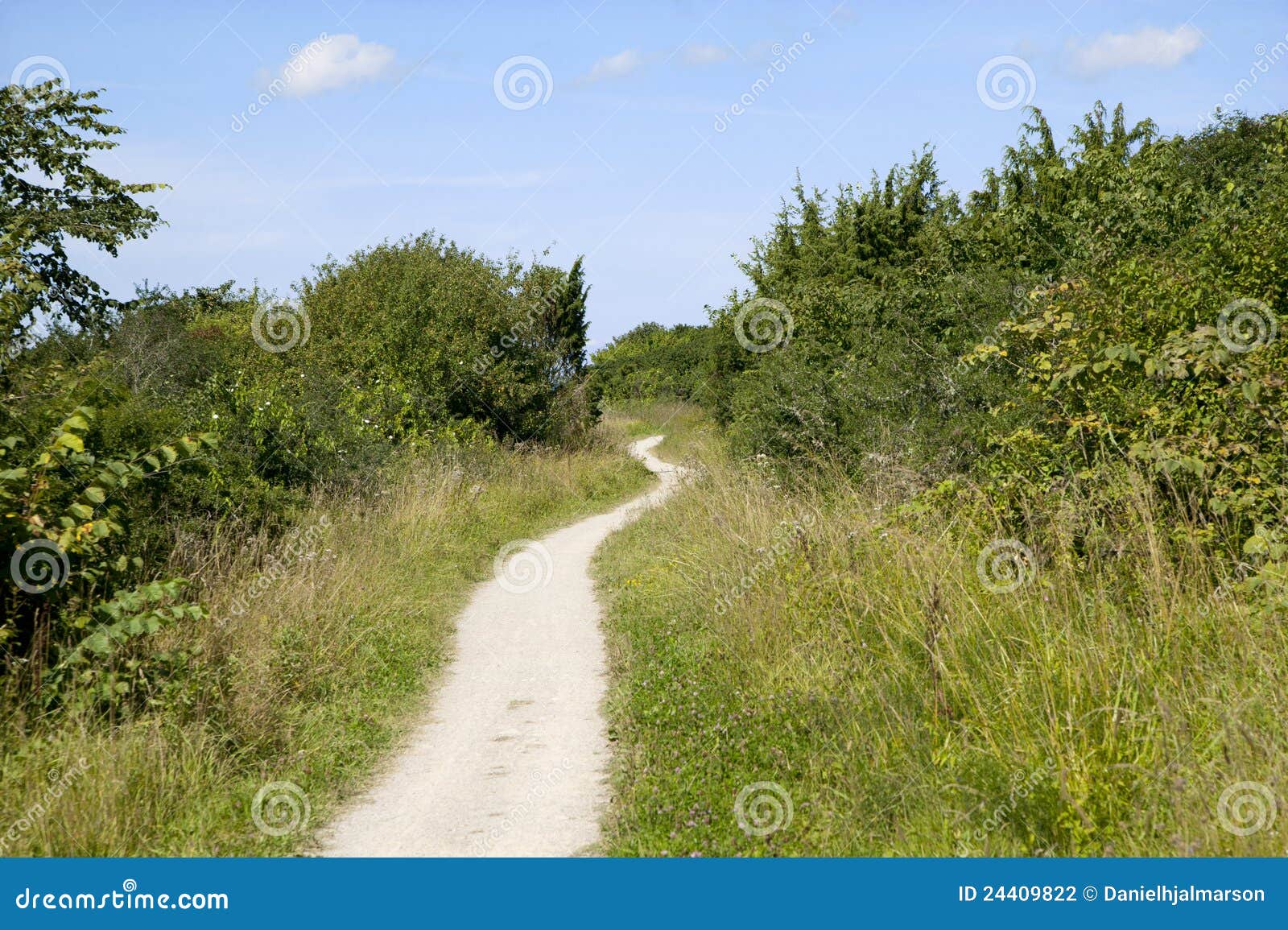 Winding Path Under a Blue Cloudy Sky Stock Photo - Image of tree ...