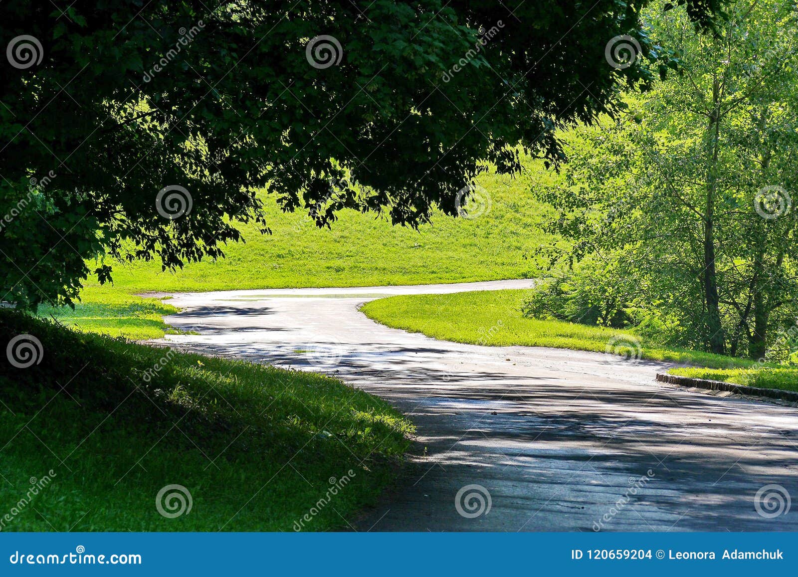 Winding Path Under the Hanging Branches of Trees in the Park Near the ...