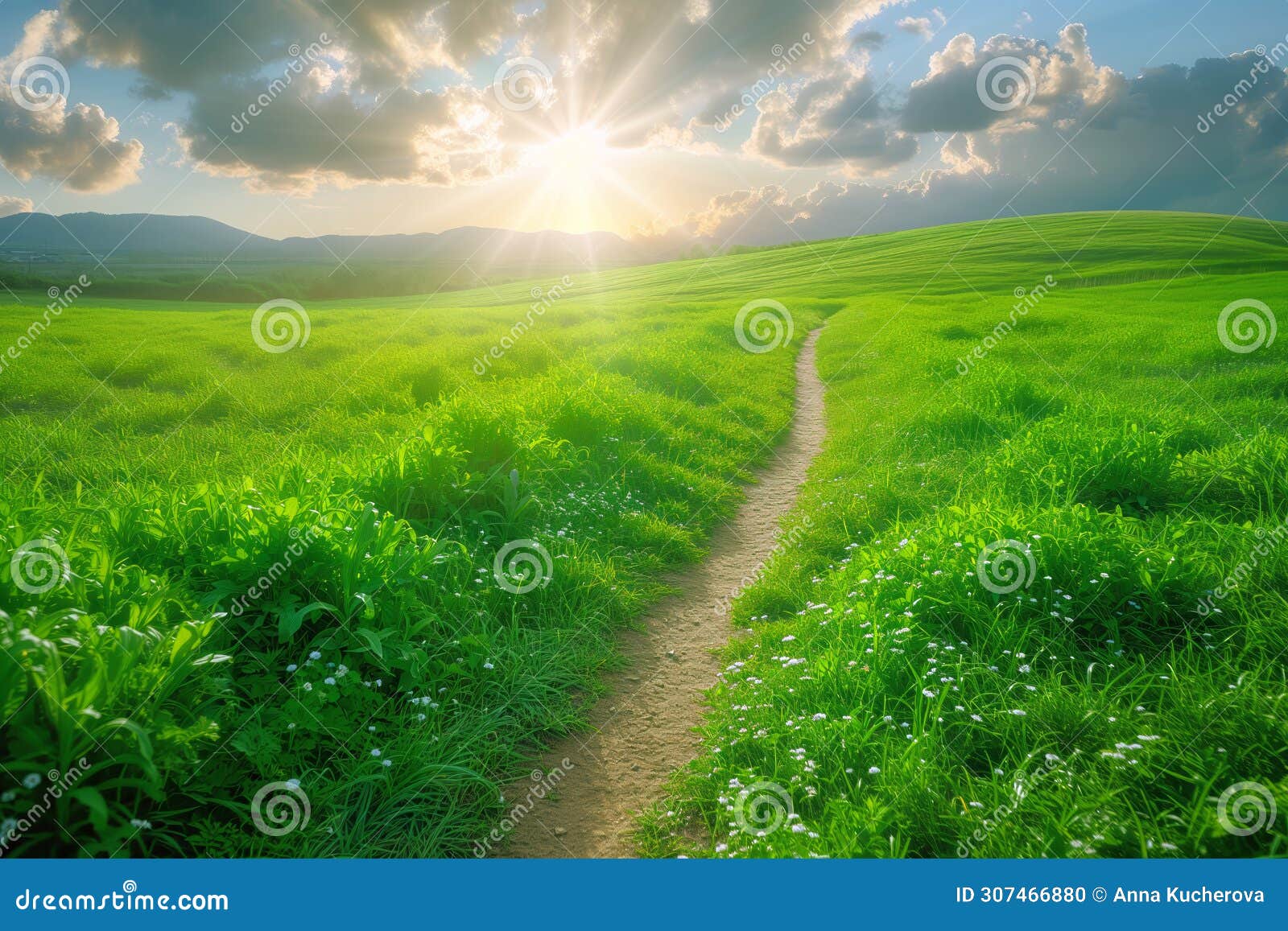 Winding Path through Vibrant Green Meadow at Sunset Stock Illustration ...