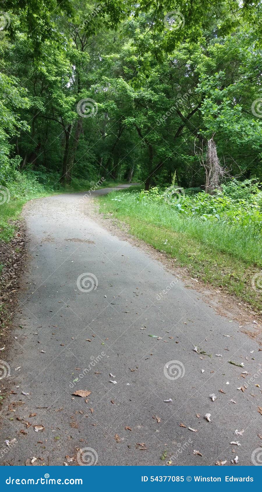 Winding path way stock image. Image of winding, leading - 54377085