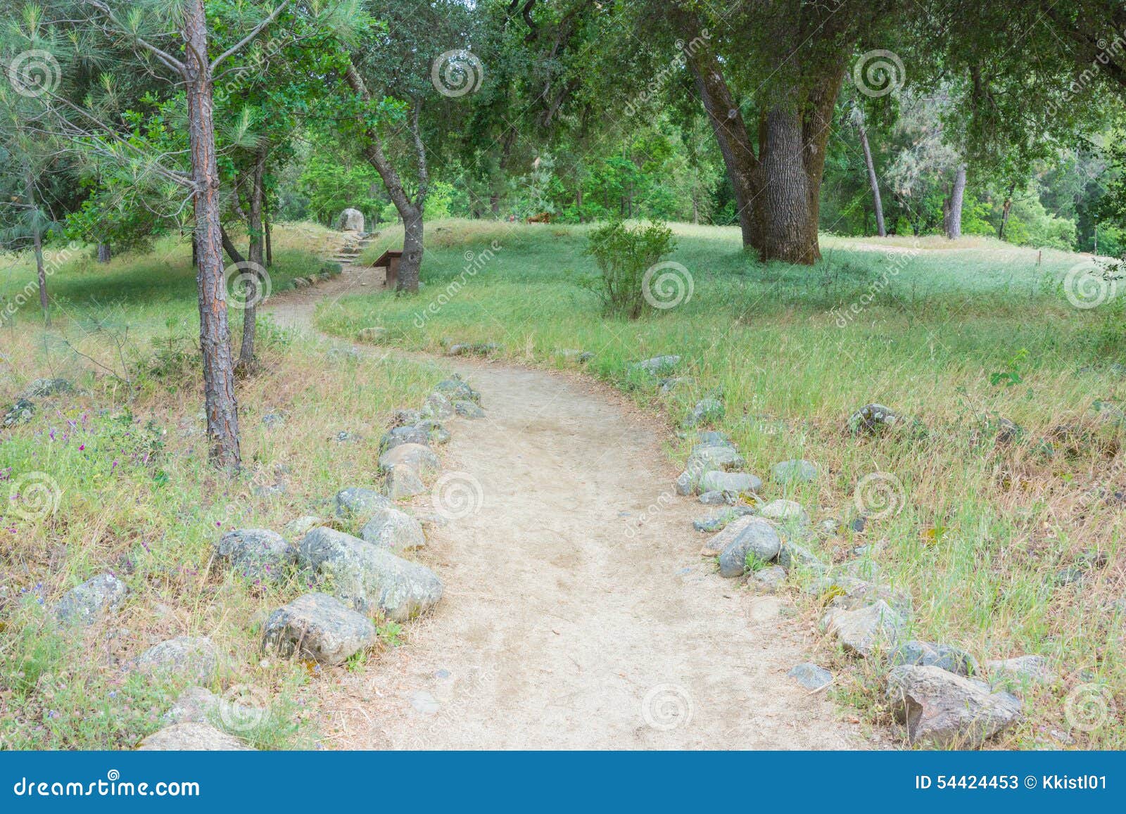 Winding Path through Woods stock image. Image of leisure - 54424453