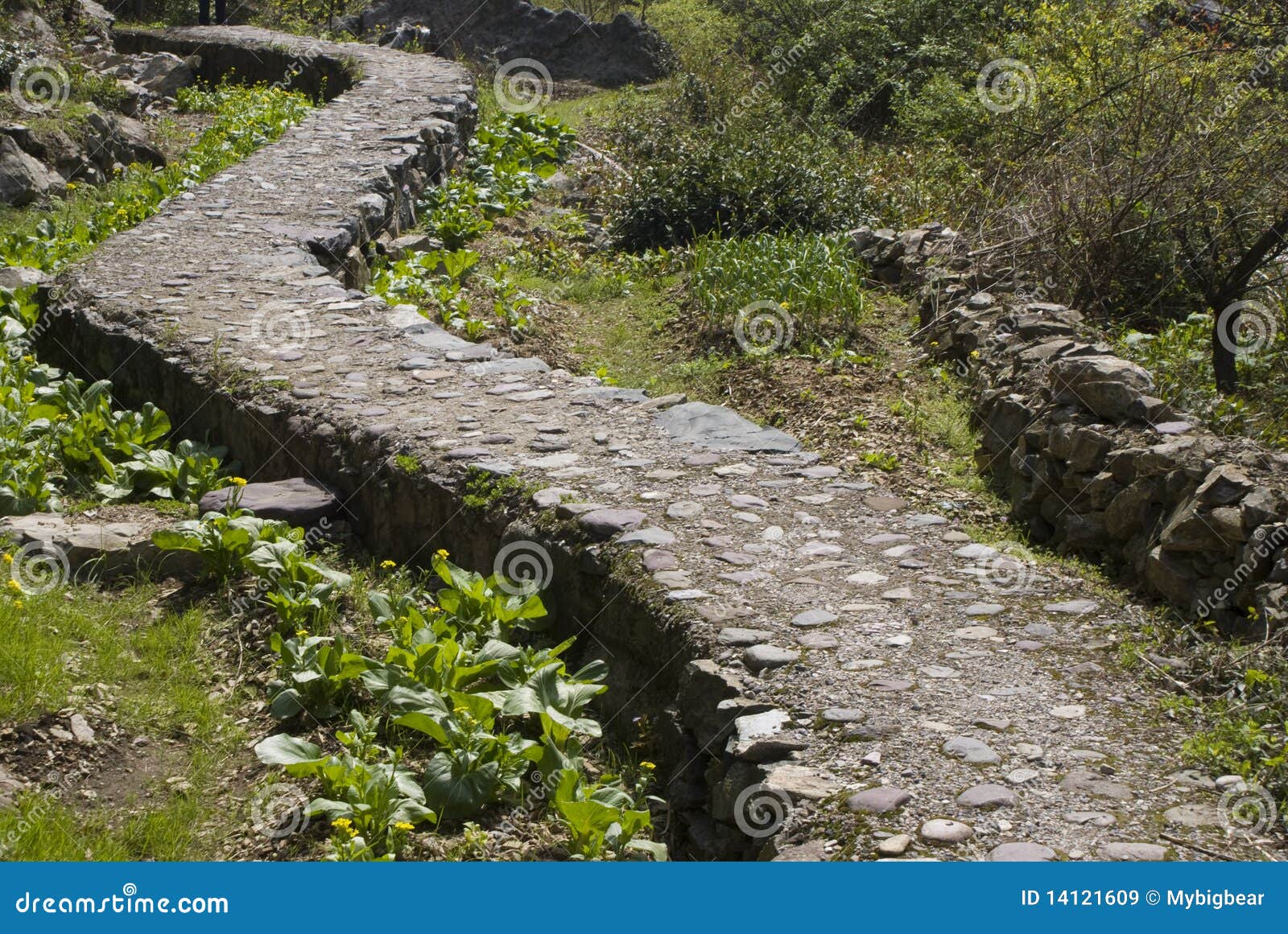 Winding paths stock image. Image of outdoors, landscaped - 14121609