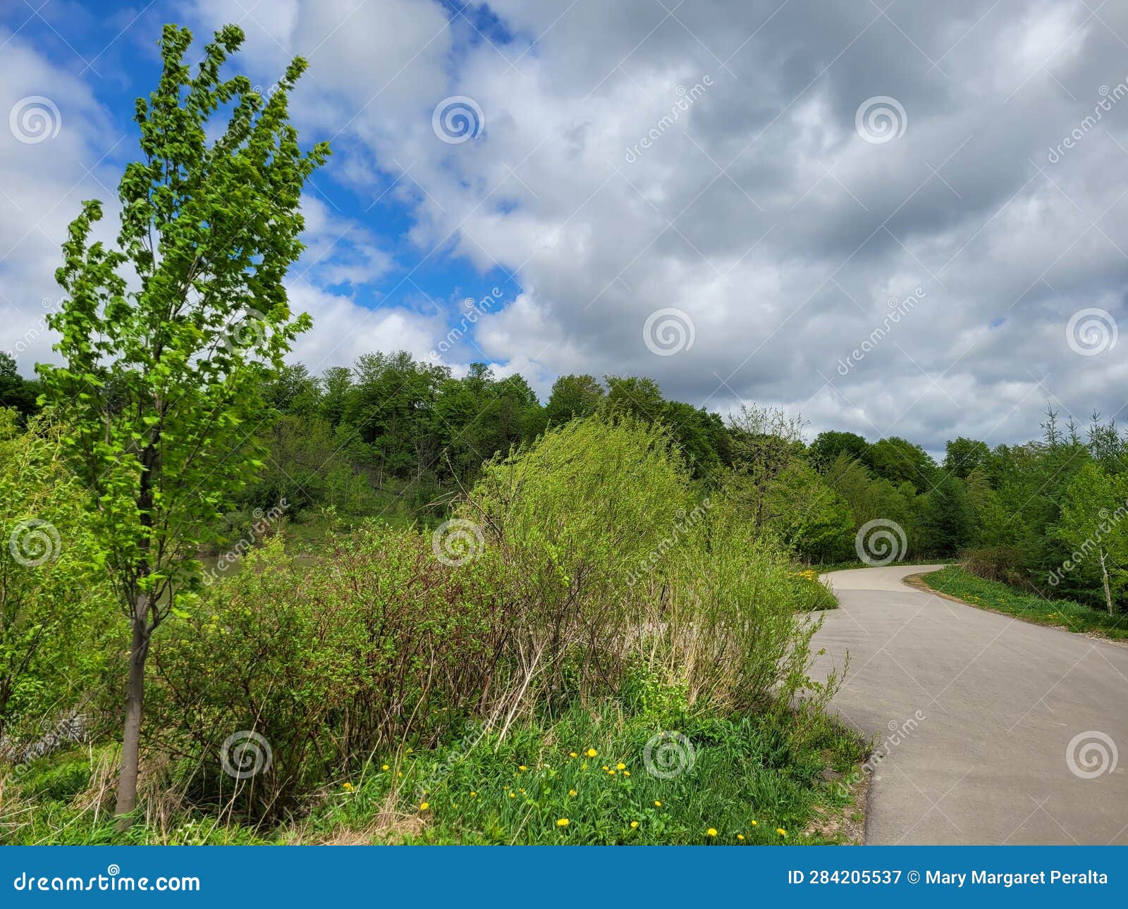 Winding Paths in a Maze of Colour Stock Image - Image of landscape ...