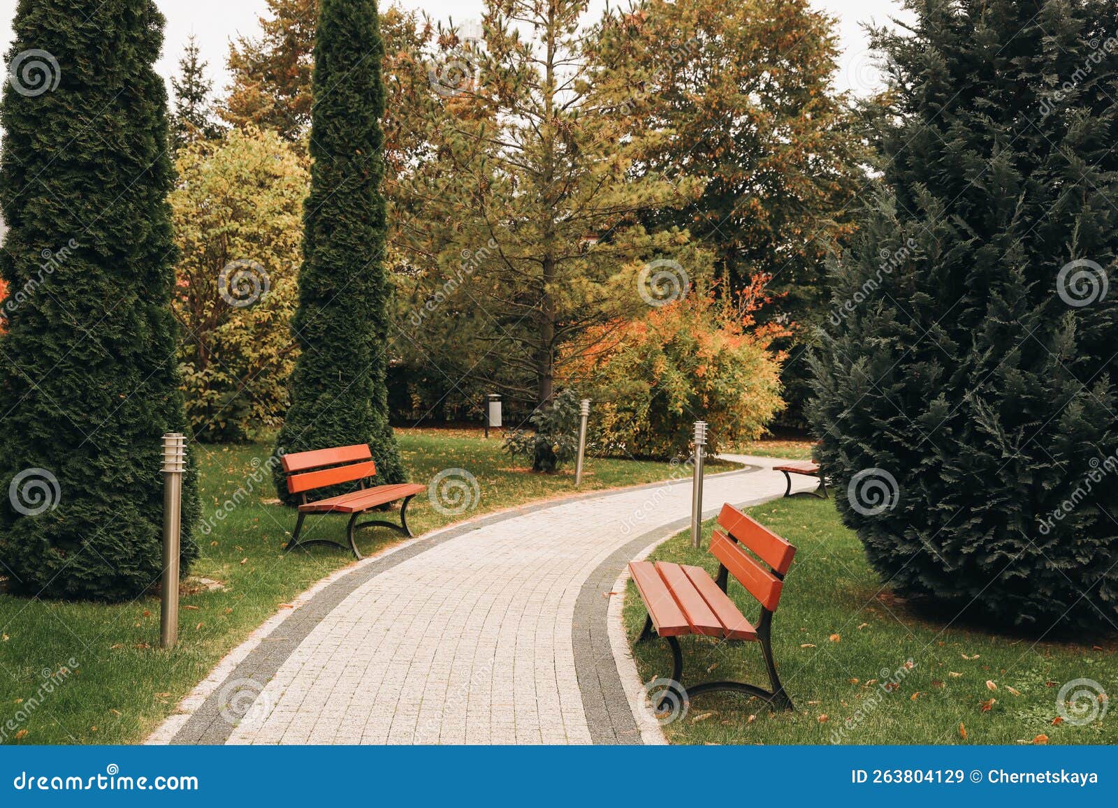 Winding Pathway with Beautiful Bushes and Benches in Park Stock Image ...