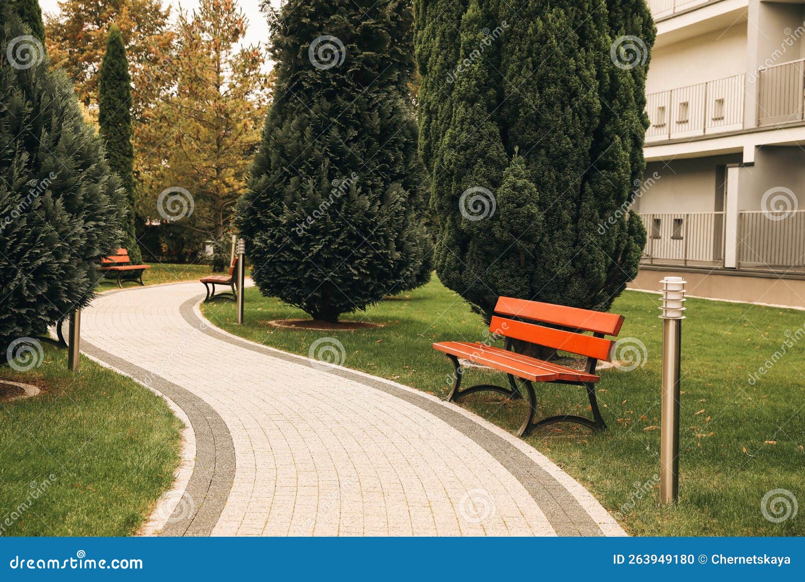 Winding Pathway with Beautiful Bushes and Benches in Park Stock Photo ...
