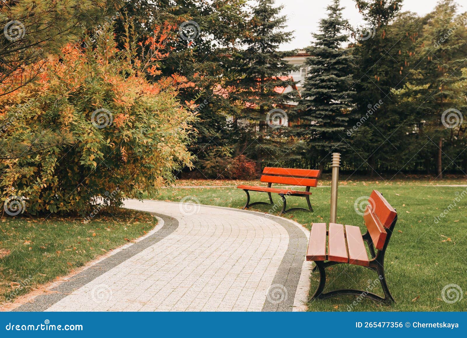 Winding Pathway with Beautiful Bushes and Benches in Park Stock Photo ...