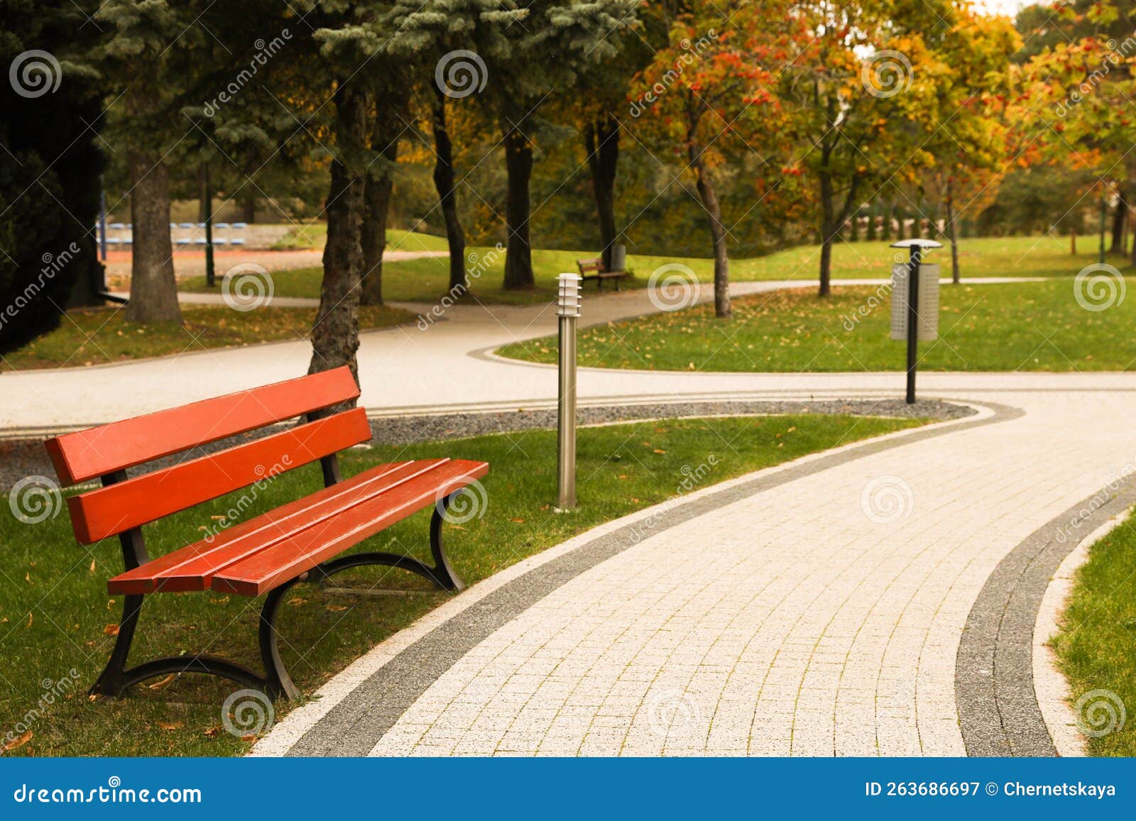 Winding Pathway with Beautiful Trees and Bench in Park Stock Image ...
