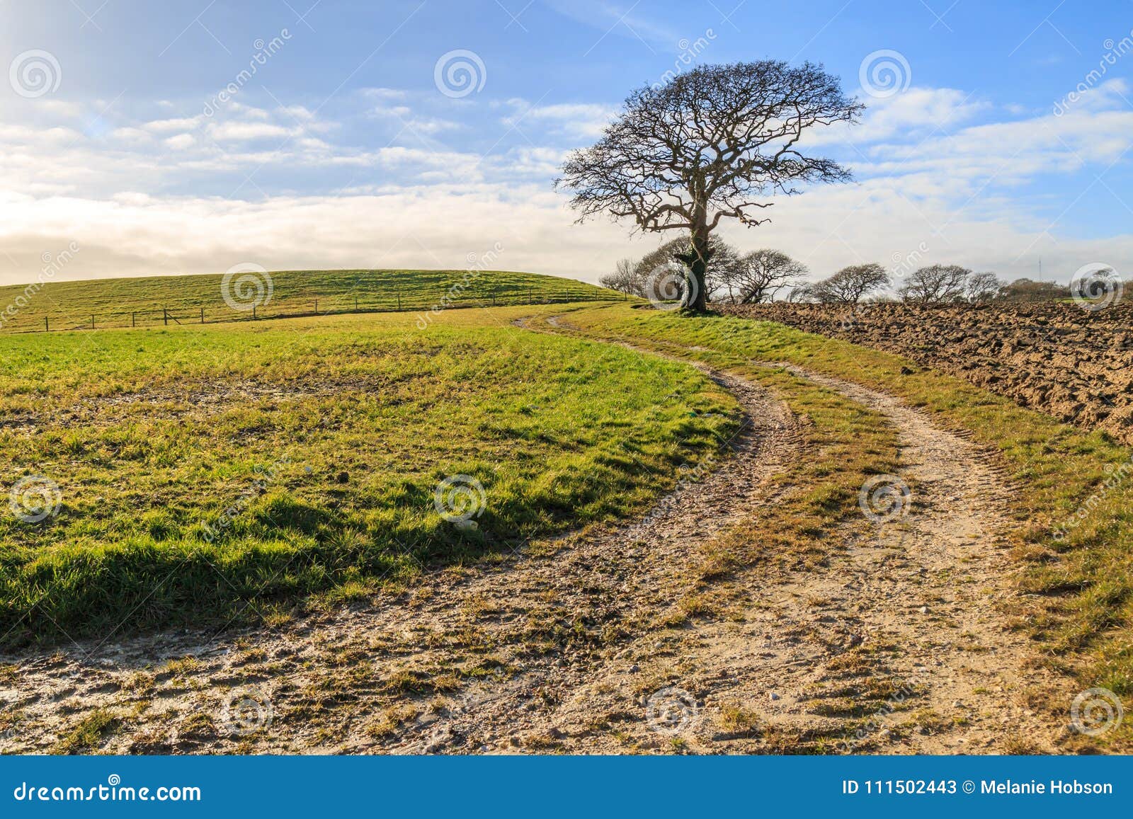 A Winding Pathway stock image. Image of clouds, farm - 111502443