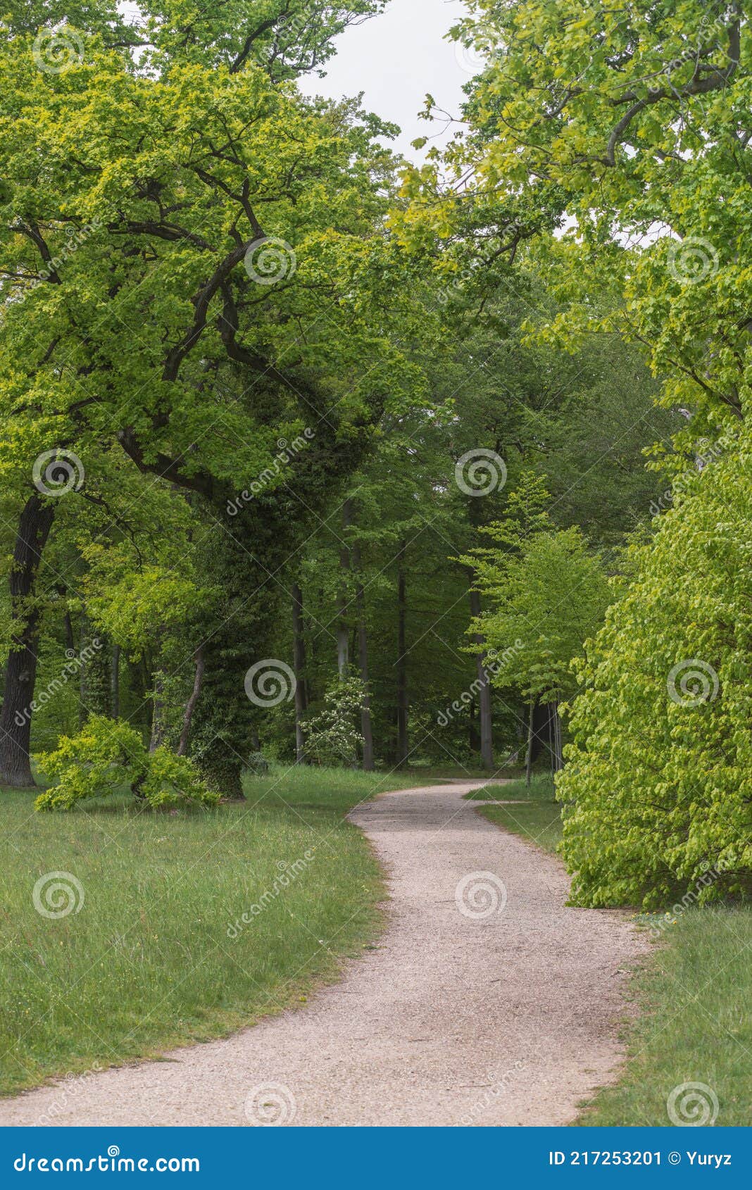 Winding pathway in park stock image. Image of foliage - 217253201