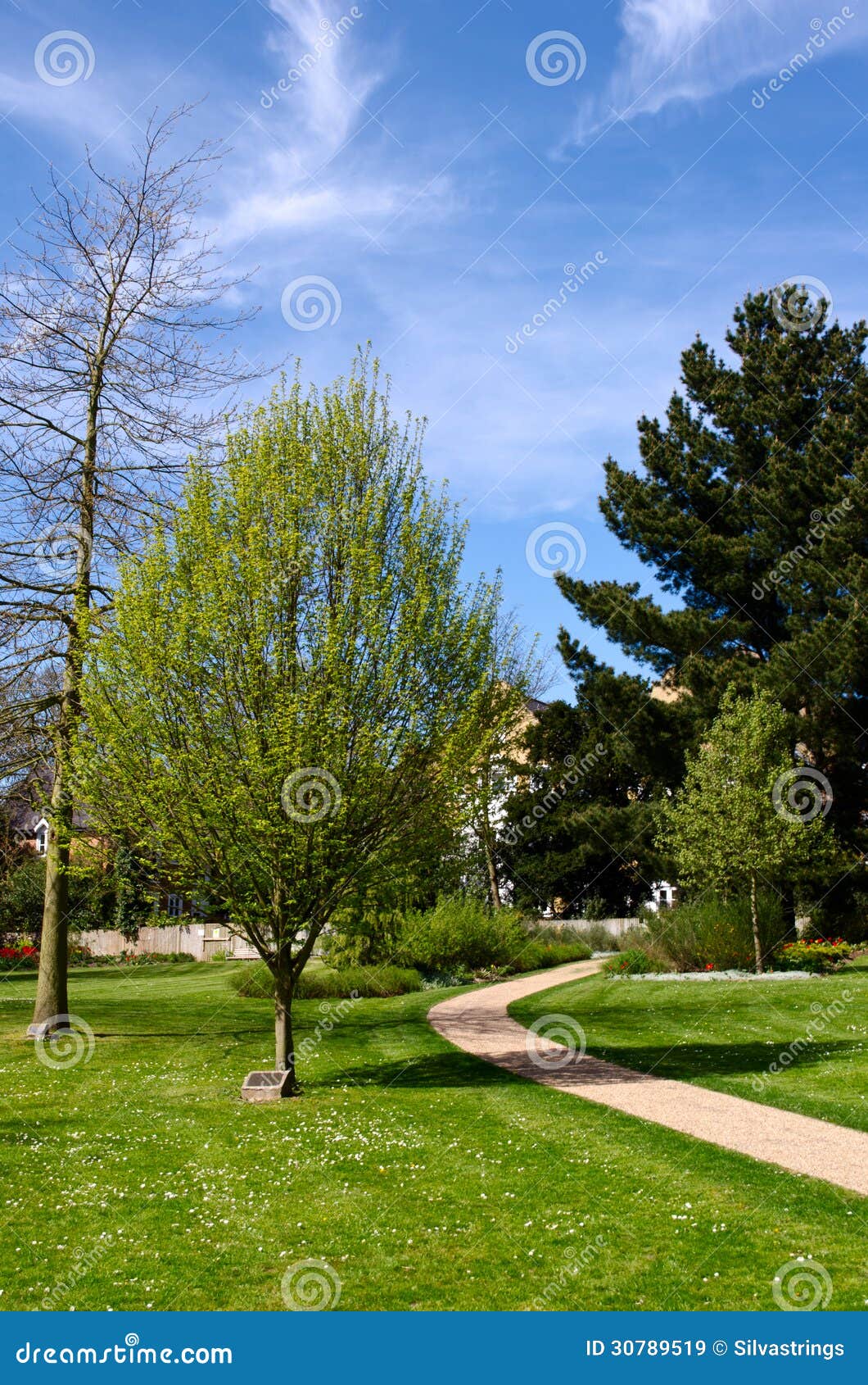 Winding pathway in park stock image. Image of nature - 30789519