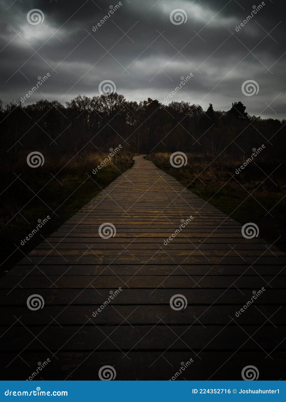 Moody winding pathway stock photo. Image of night, evening - 224352716