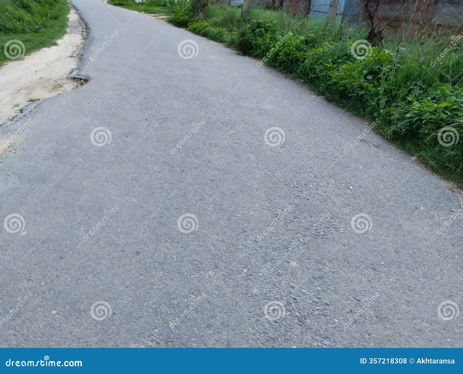 Winding Paved Road in Village of India Stock Photo - Image of forest ...