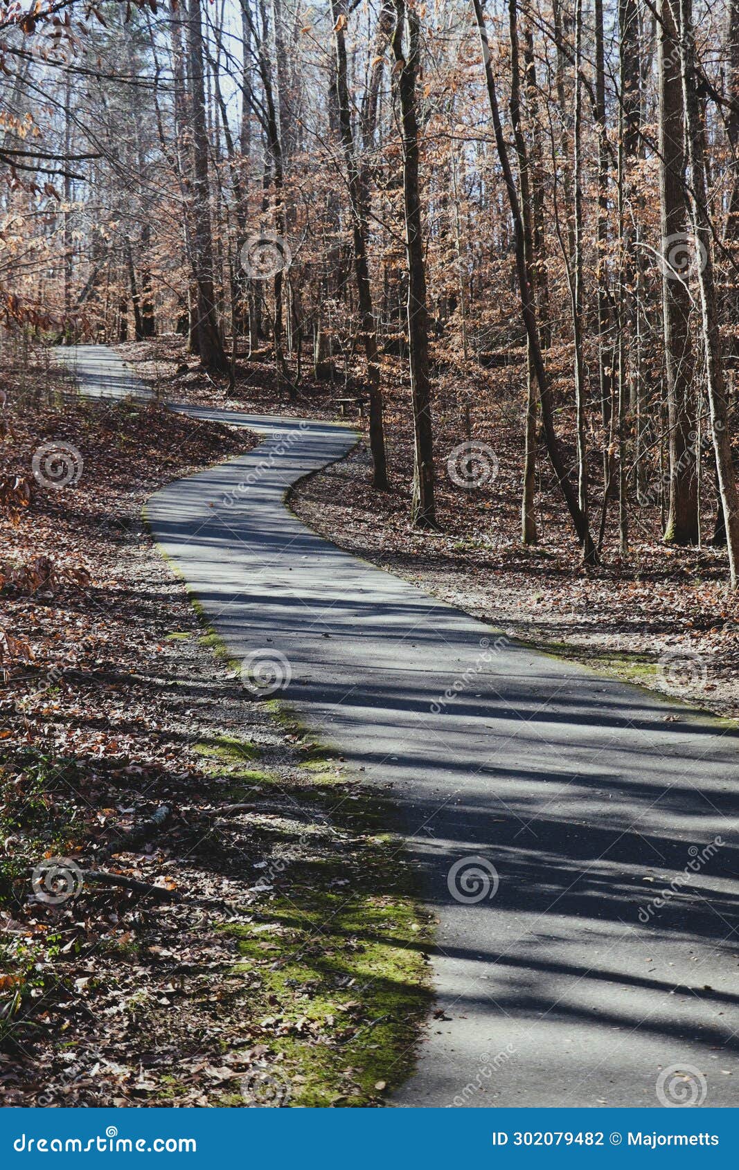 Winding Paved Walking Trail among Brown Trees Stock Photo - Image of ...