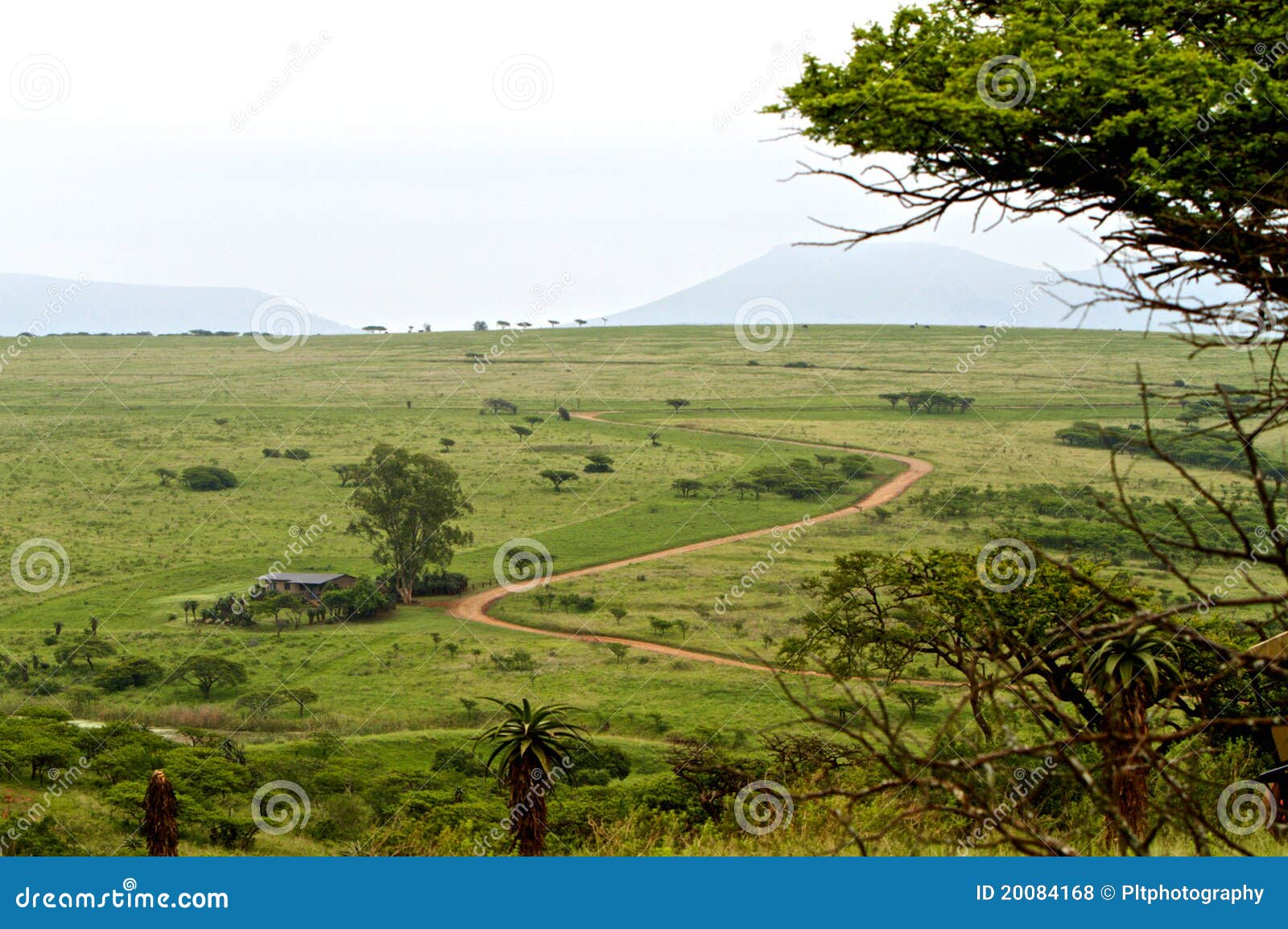 Winding Red Road through the Savannah Stock Photo - Image of stretch ...