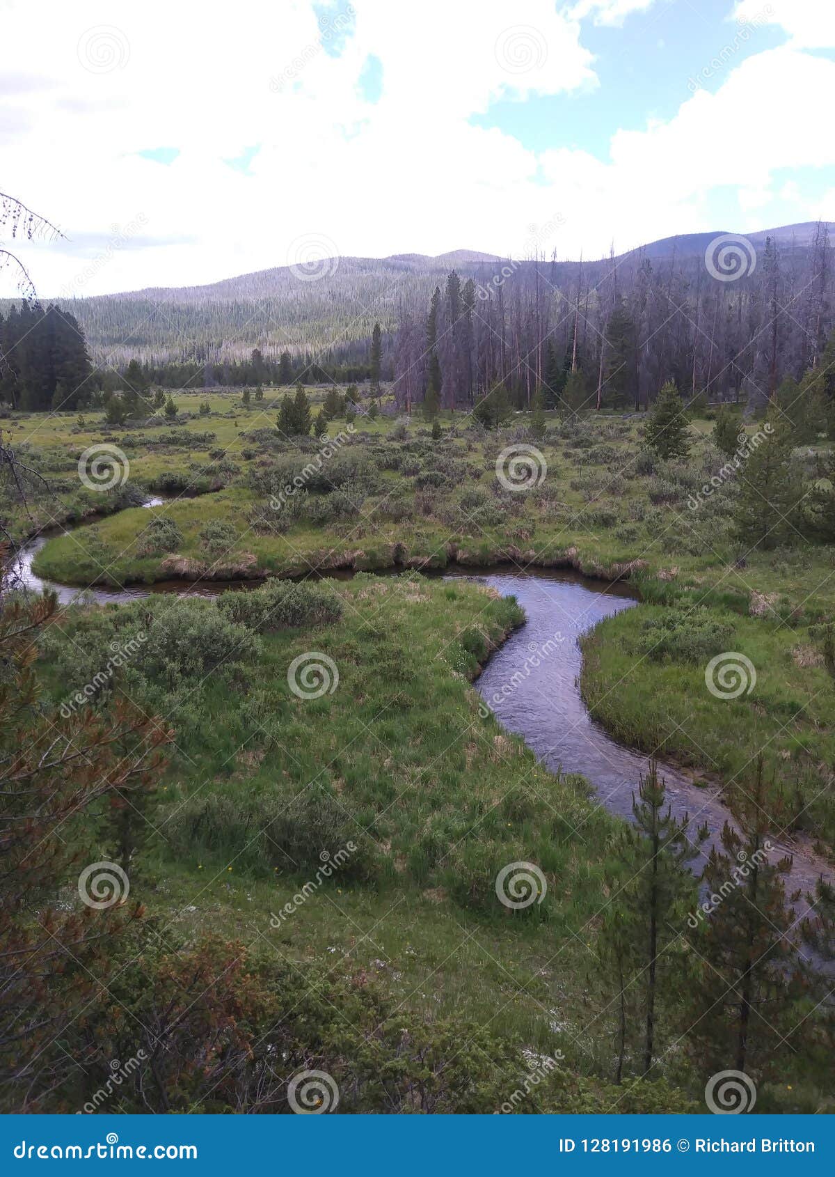 Winding River Mountains Wilderness Stock Photo - Image of river ...