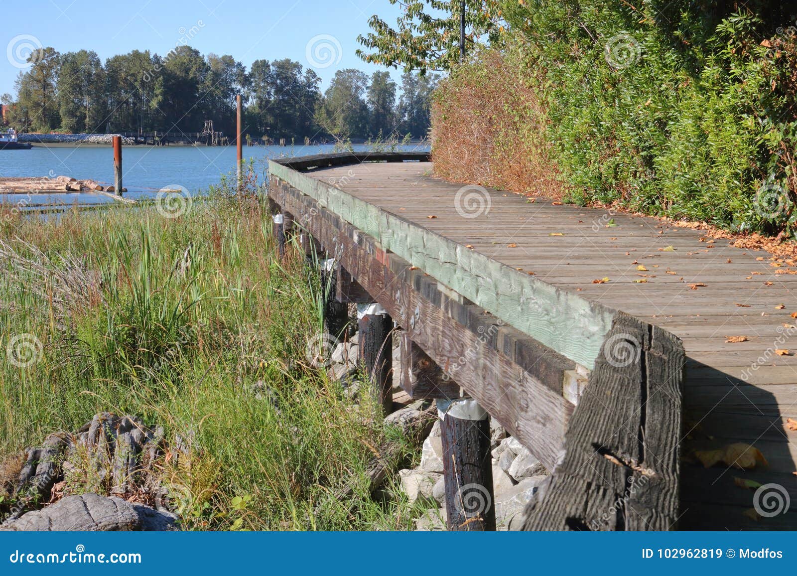 Winding Riverfront Boardwalk Stock Image - Image of winding, wooden ...