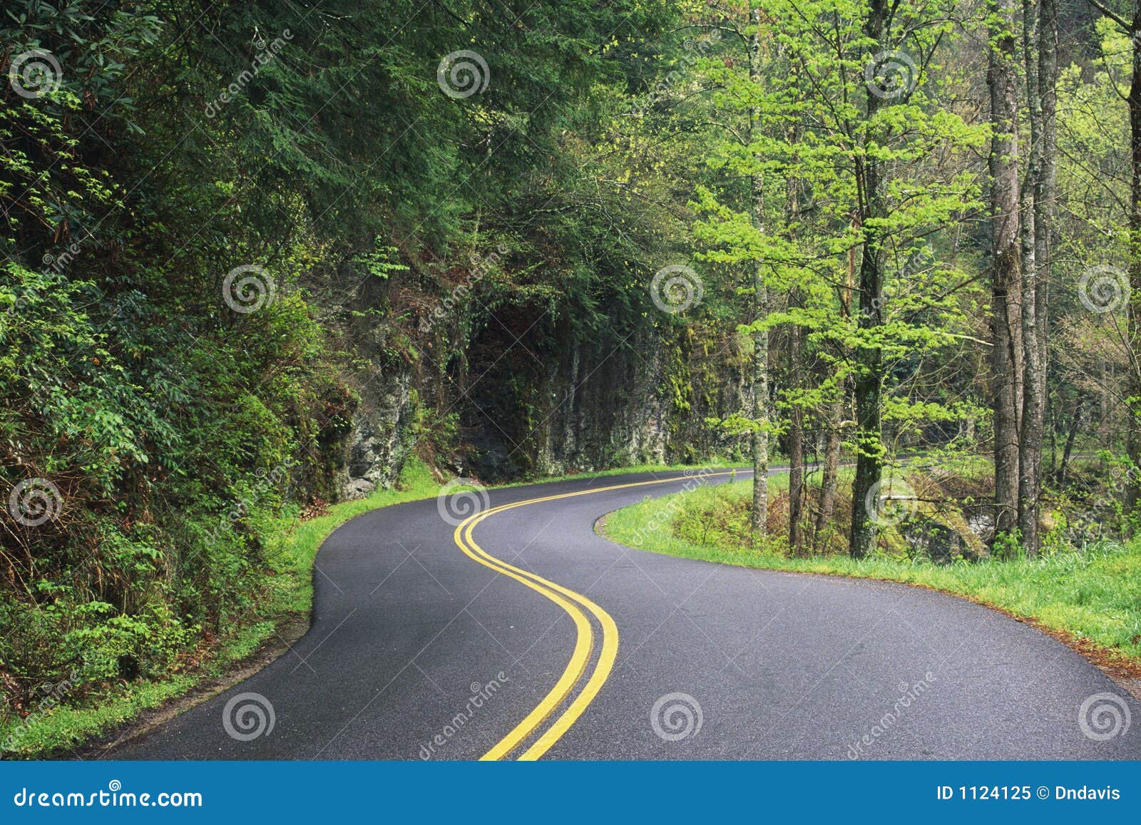 Winding Road stock image. Image of america, summer, vertical - 1124125