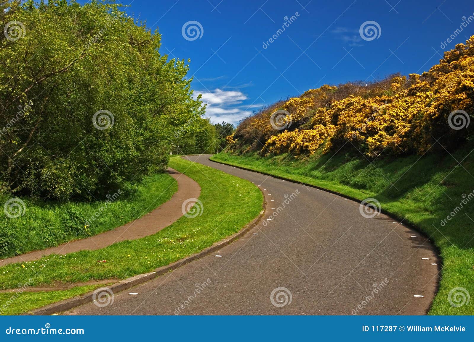 Winding Road stock image. Image of track, plants, green - 117287